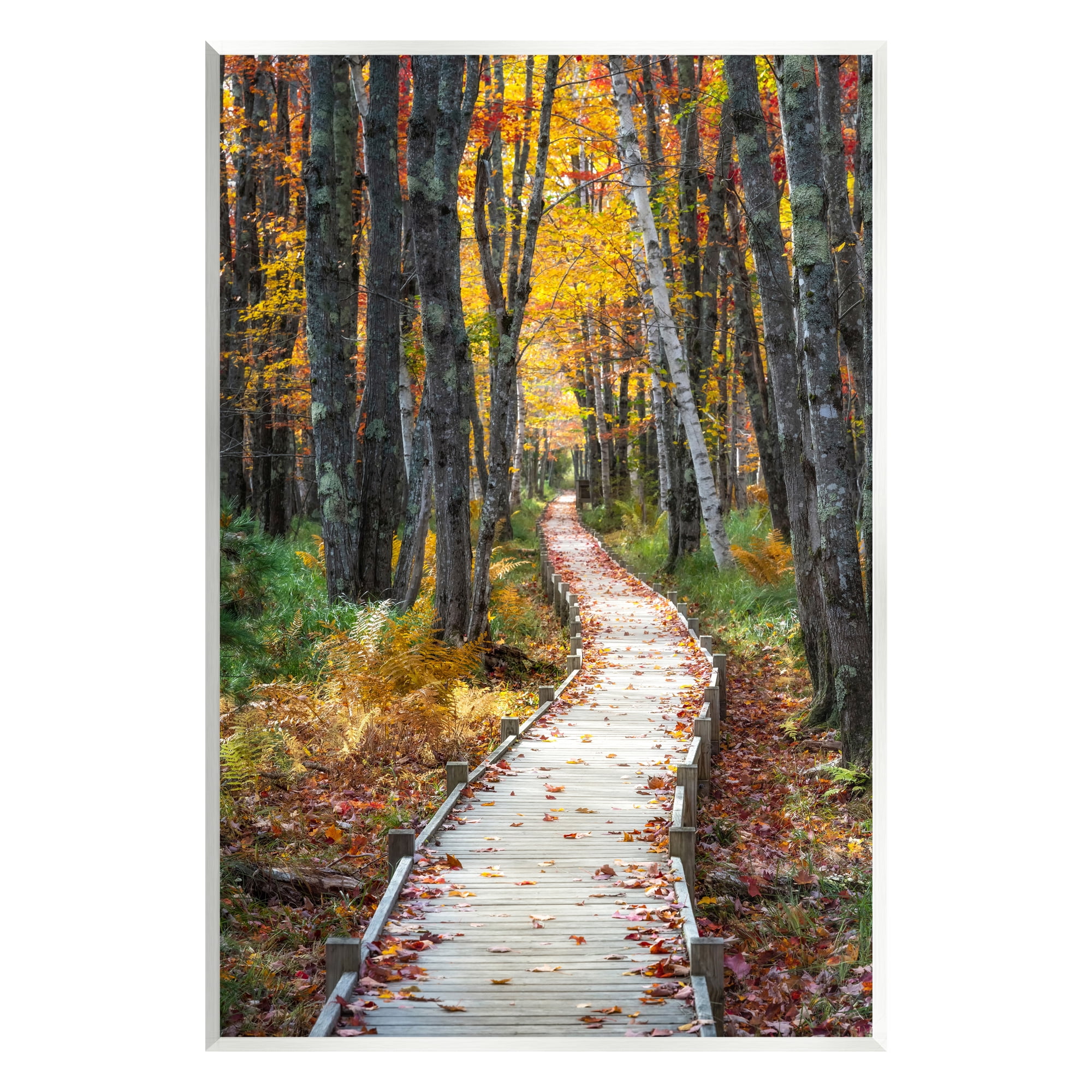Stupell Industries Nature Path Autumn Foliage Landscape Photography ...