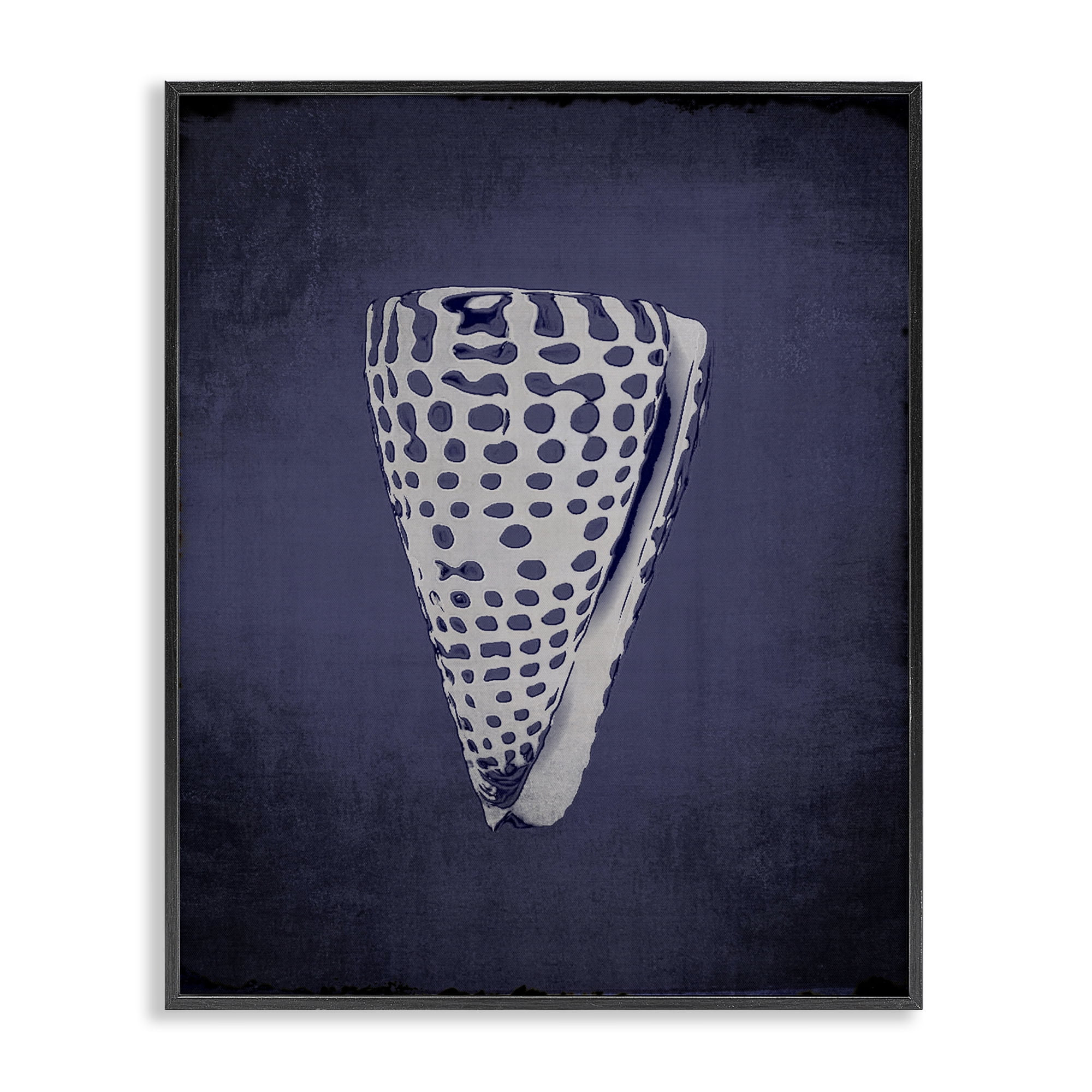 Stupell Industries Nautical Cone Shell Nautical & Beach Painting Black ...