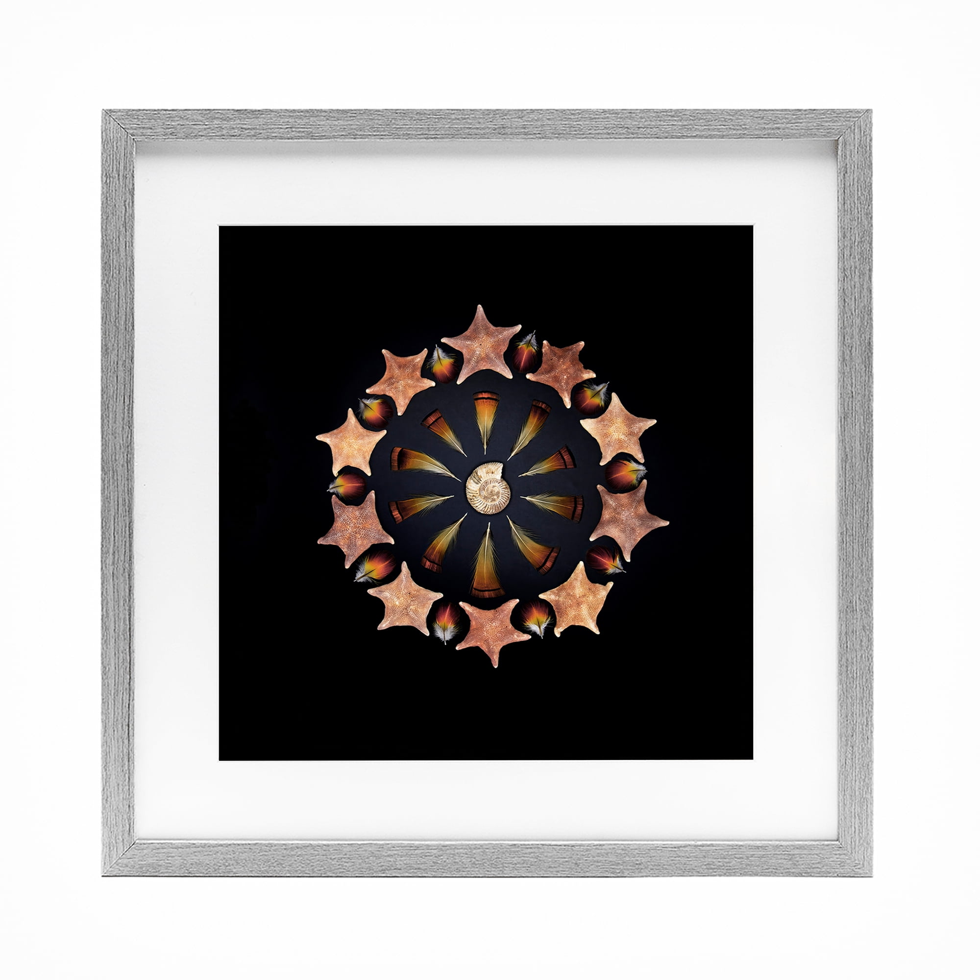 Stupell Industries Nautical Nature Arrangement Gray Framed Print Under ...