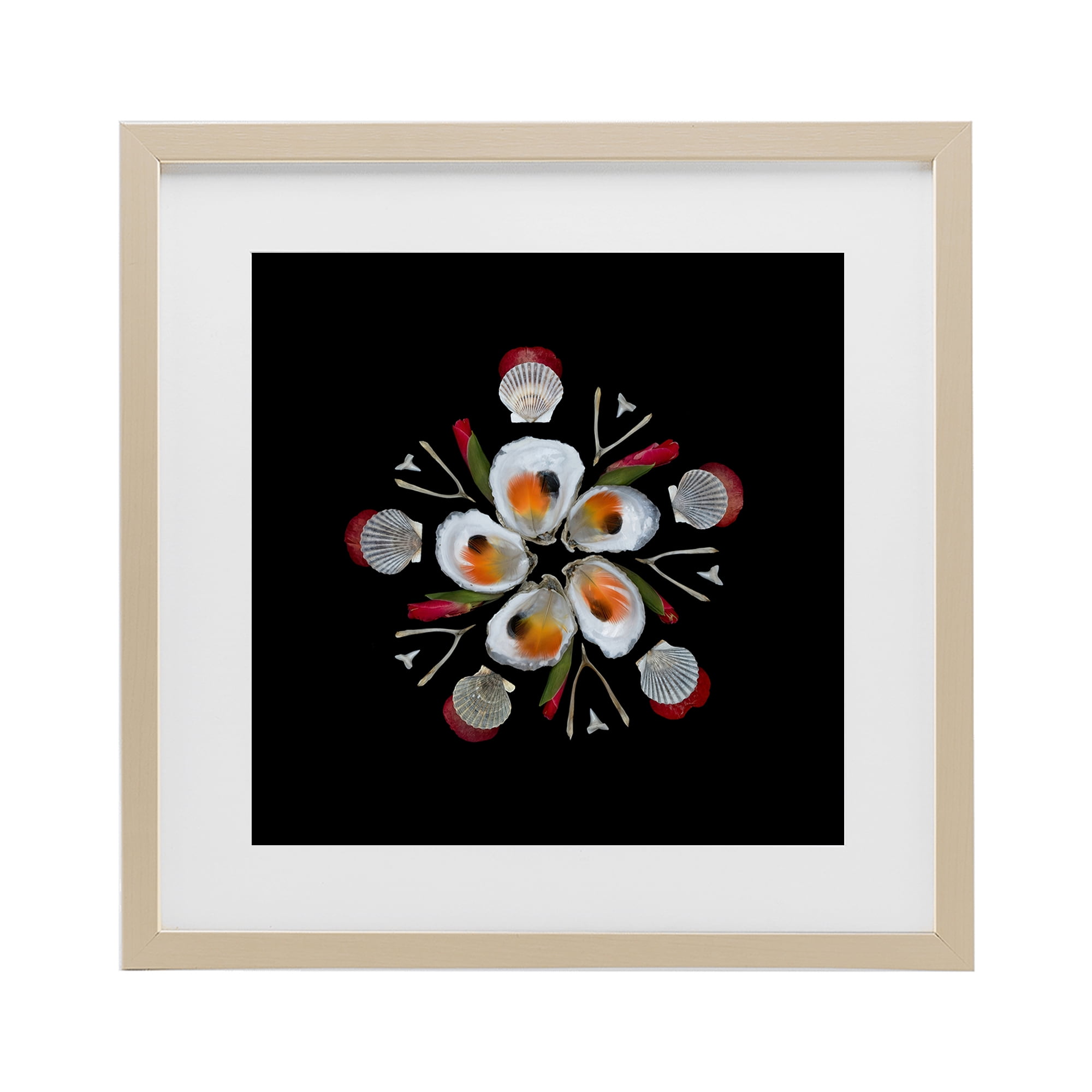 Stupell Industries Nautical Oysters Mandala Birch Framed Print Under ...