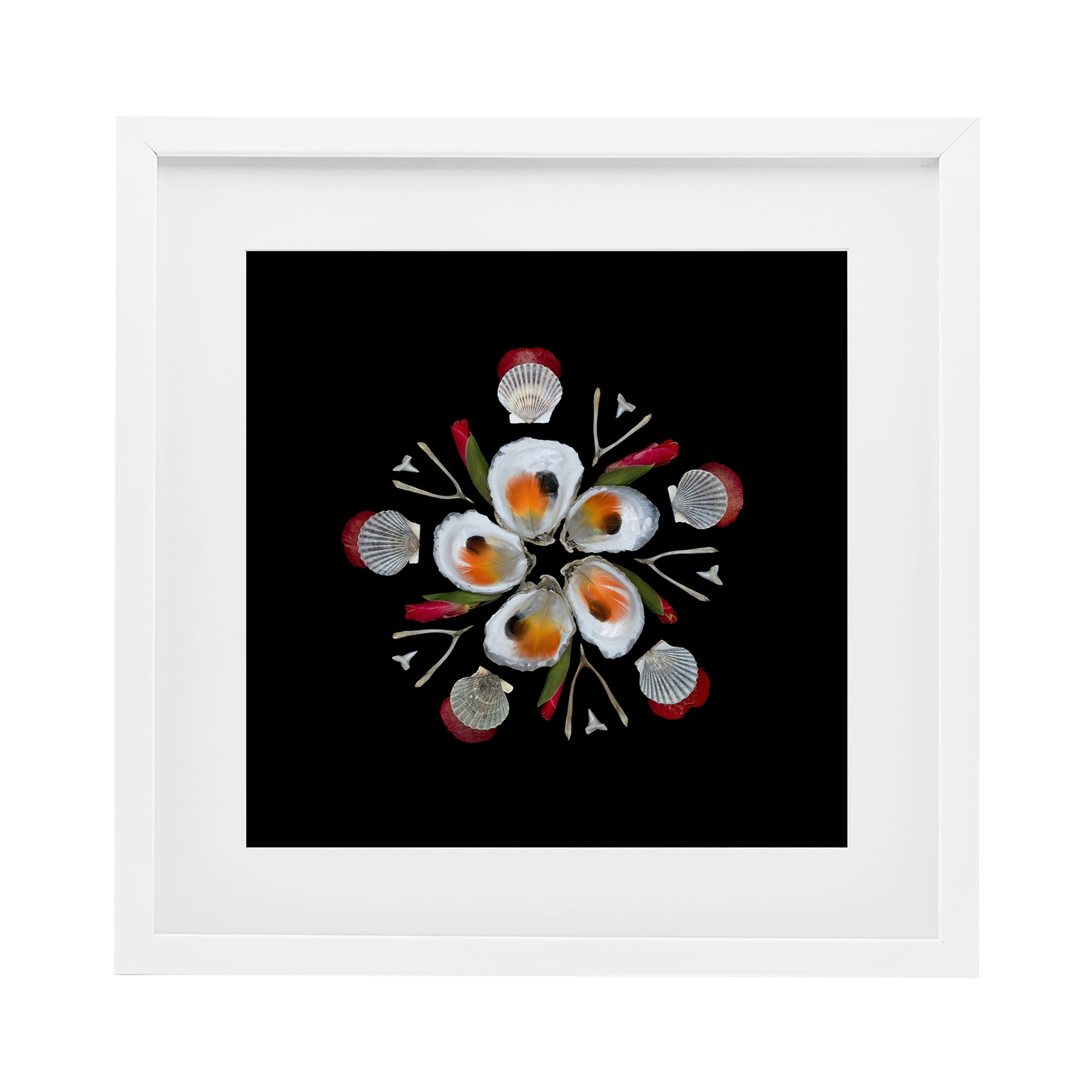 Stupell Industries Nautical Oysters Mandala White Framed Print Under ...