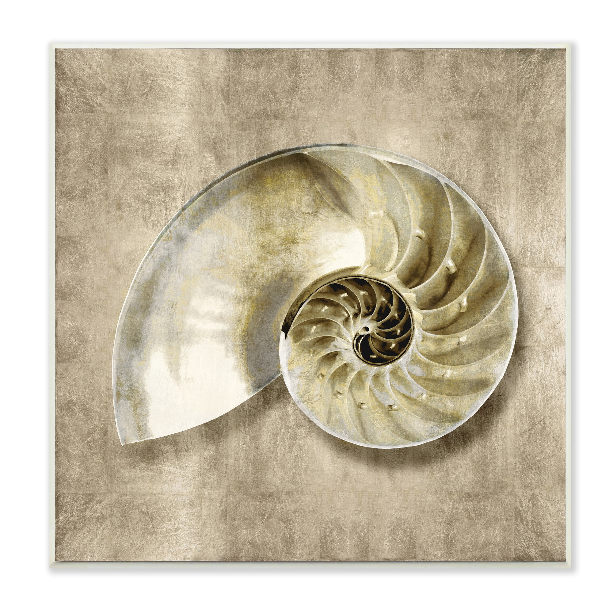 Stupell Industries Nautilus Shell Nature Painting Unframed Wood Wall ...