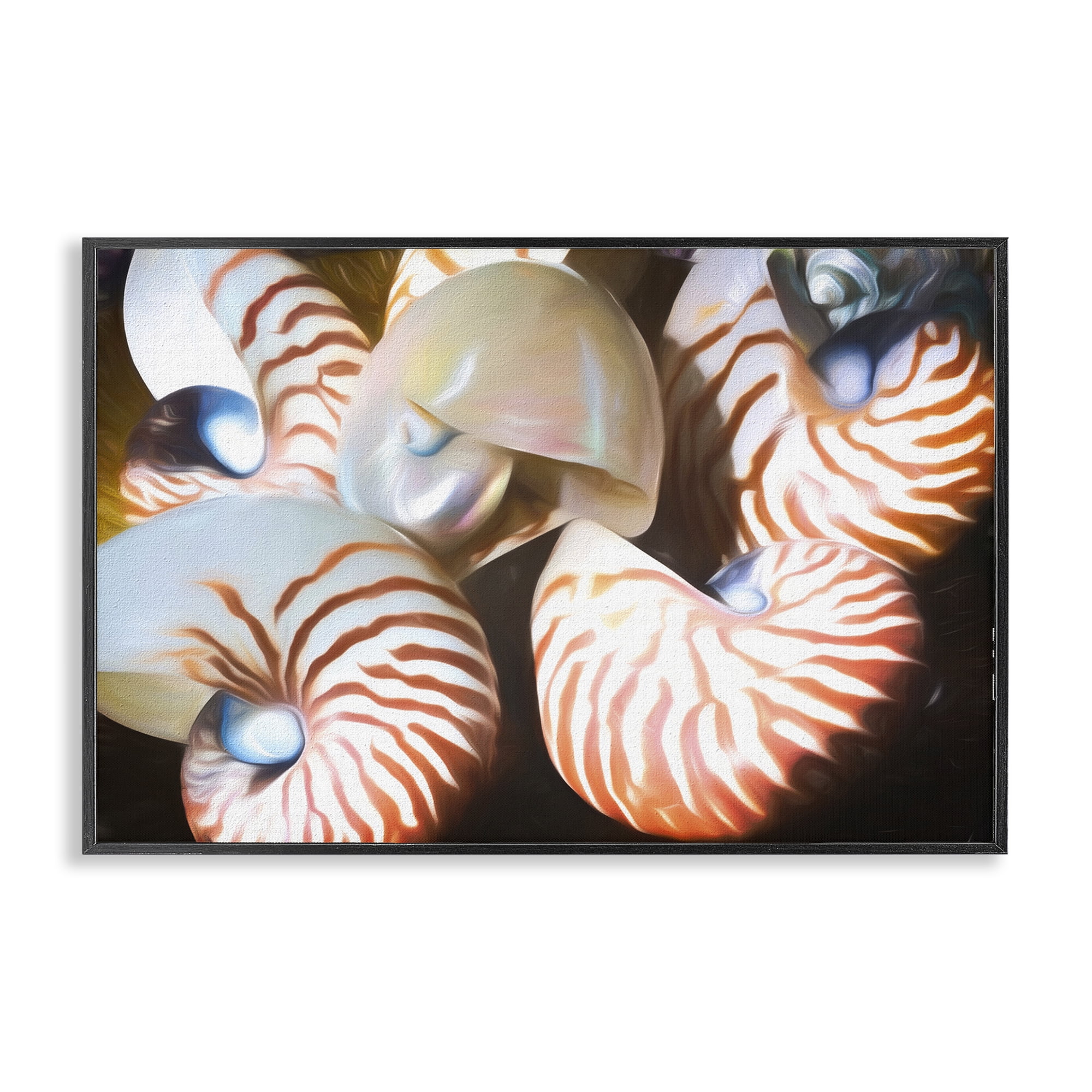 Stupell Industries Nautilus Shells Cluster Nautical & Beach Painting ...
