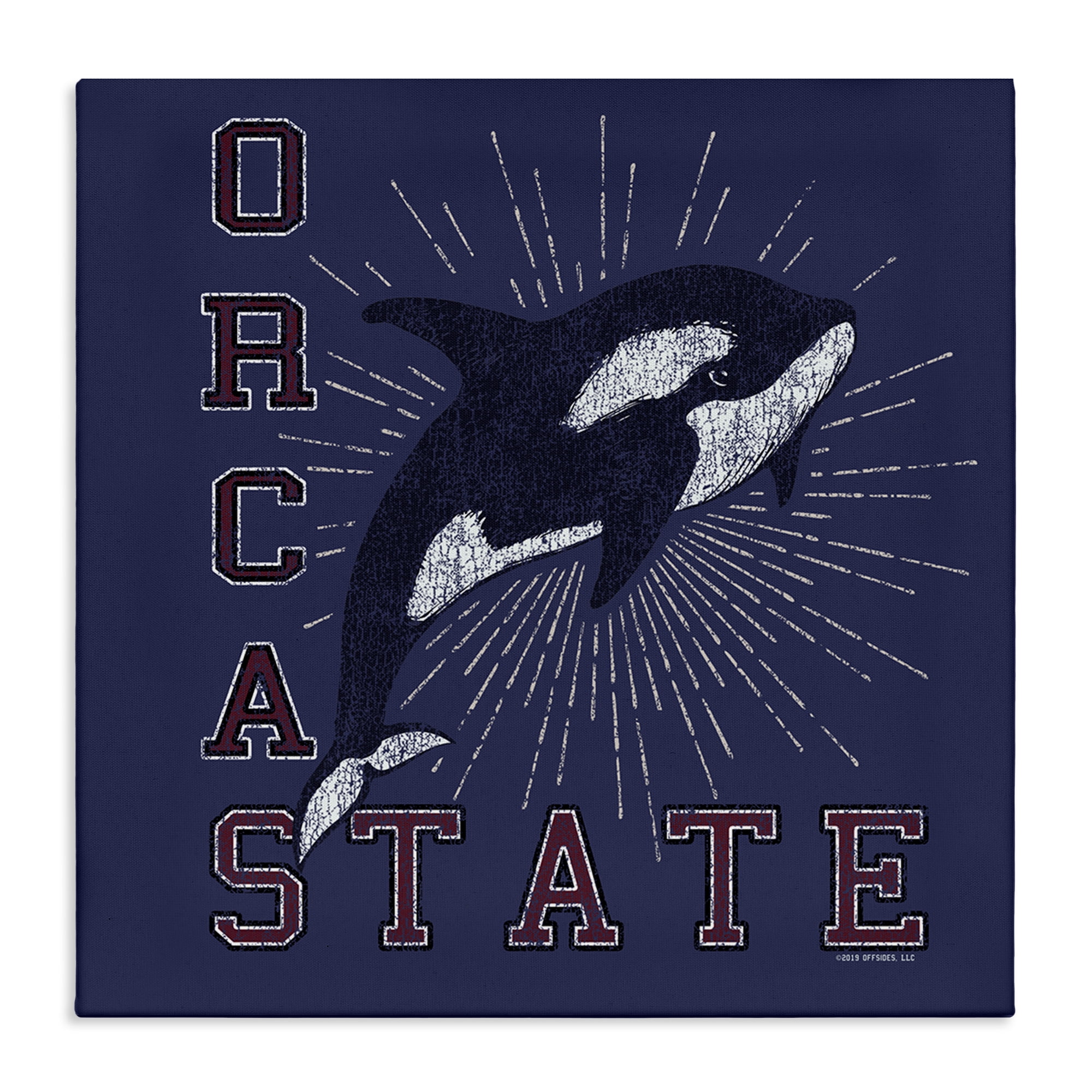 Stupell Industries Orca State Varsity Animals Painting Wrapped Canvas ...