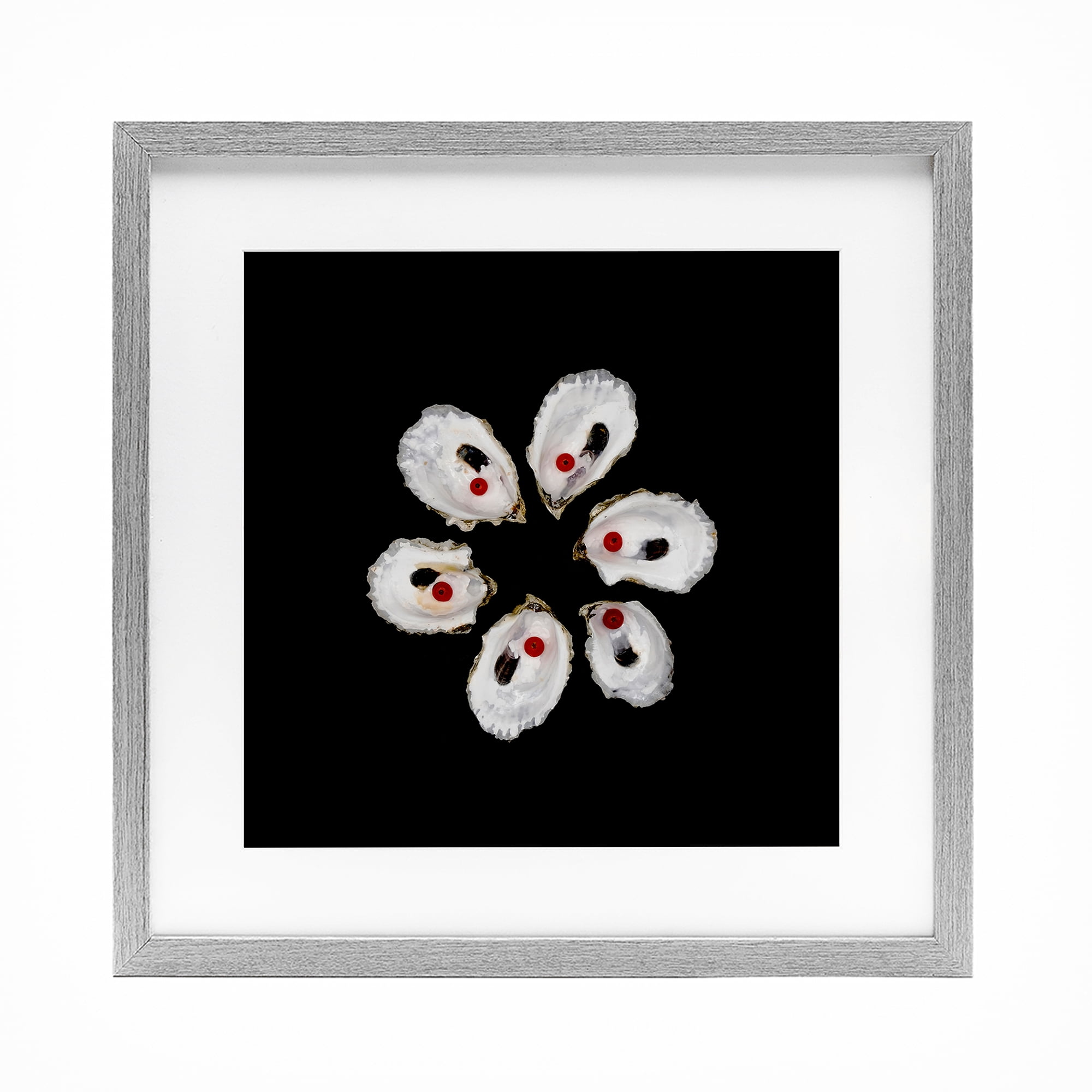 Stupell Industries Oyster Shells Symmetry Gray Framed Print Under Glass ...