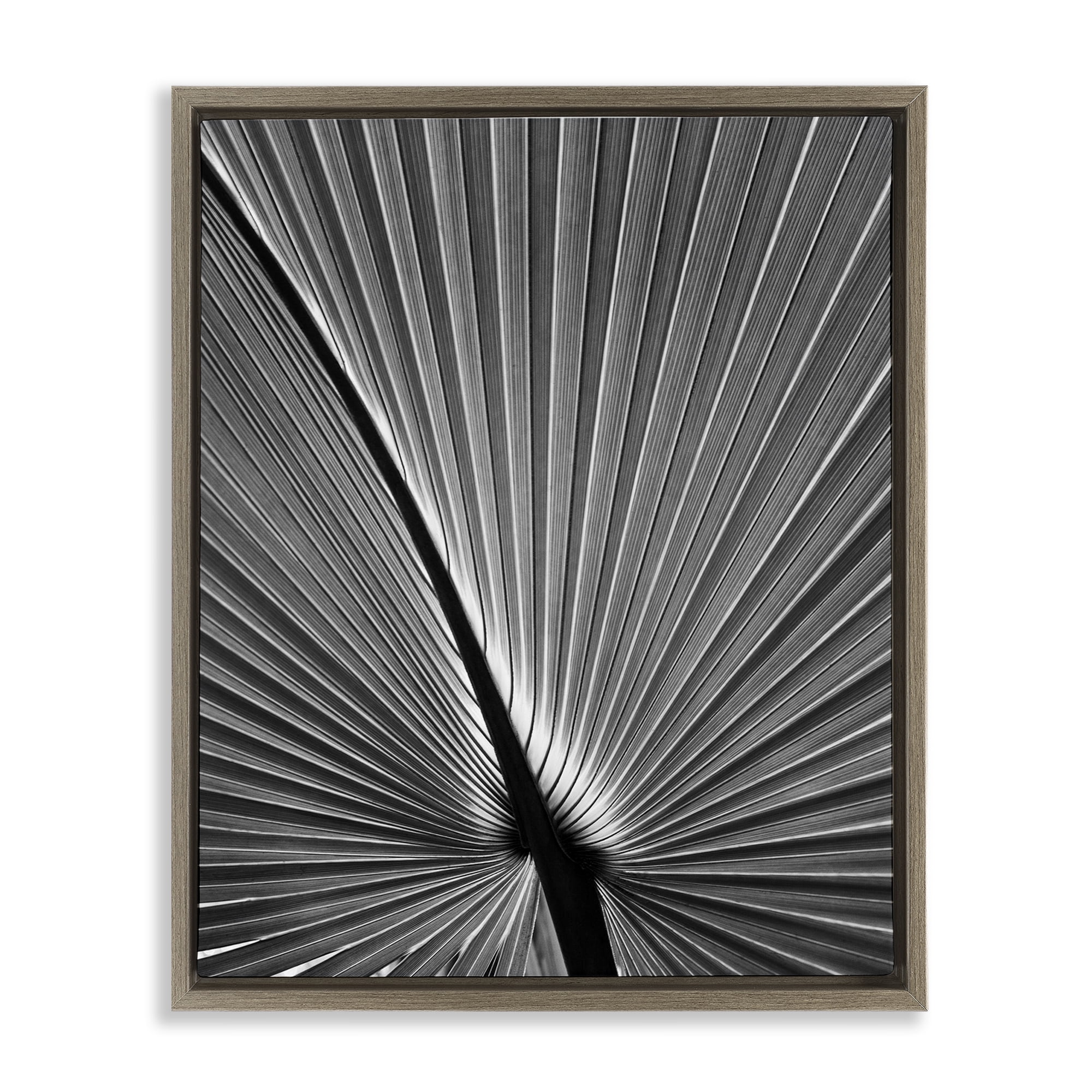Stupell Industries Palm Frond Detail Botanical & Floral Photography ...