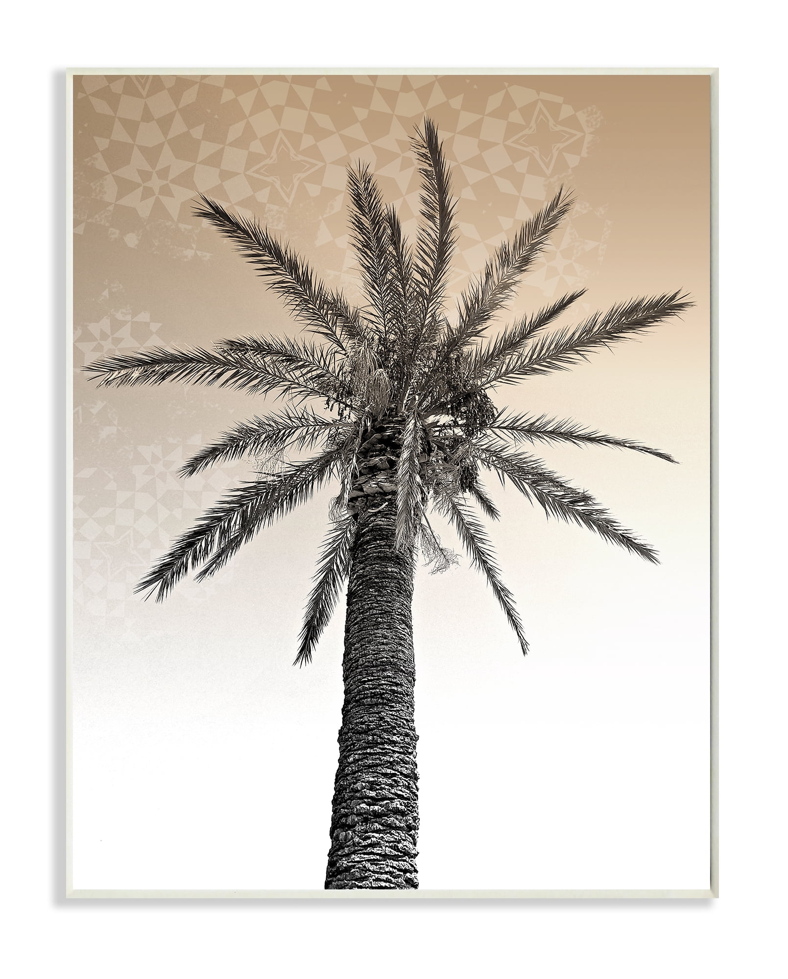 Stupell Palm Tree Tropics Wall Plaque - 10 x 15 Inches - Walmart.com