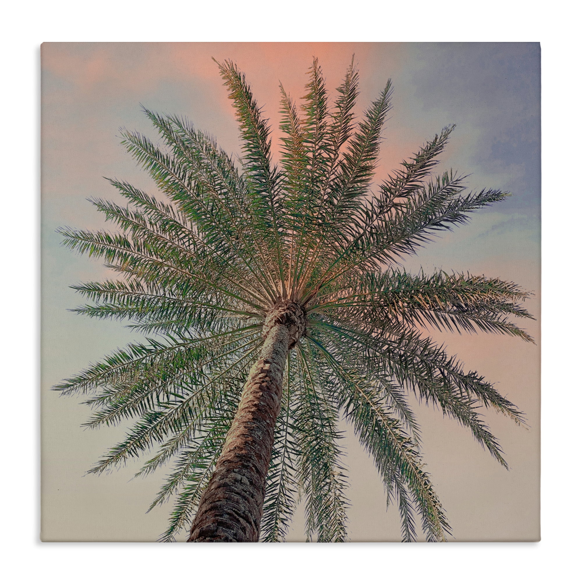 Stupell Industries Palm Up Against Sunset Canvas Wall Art design by ...
