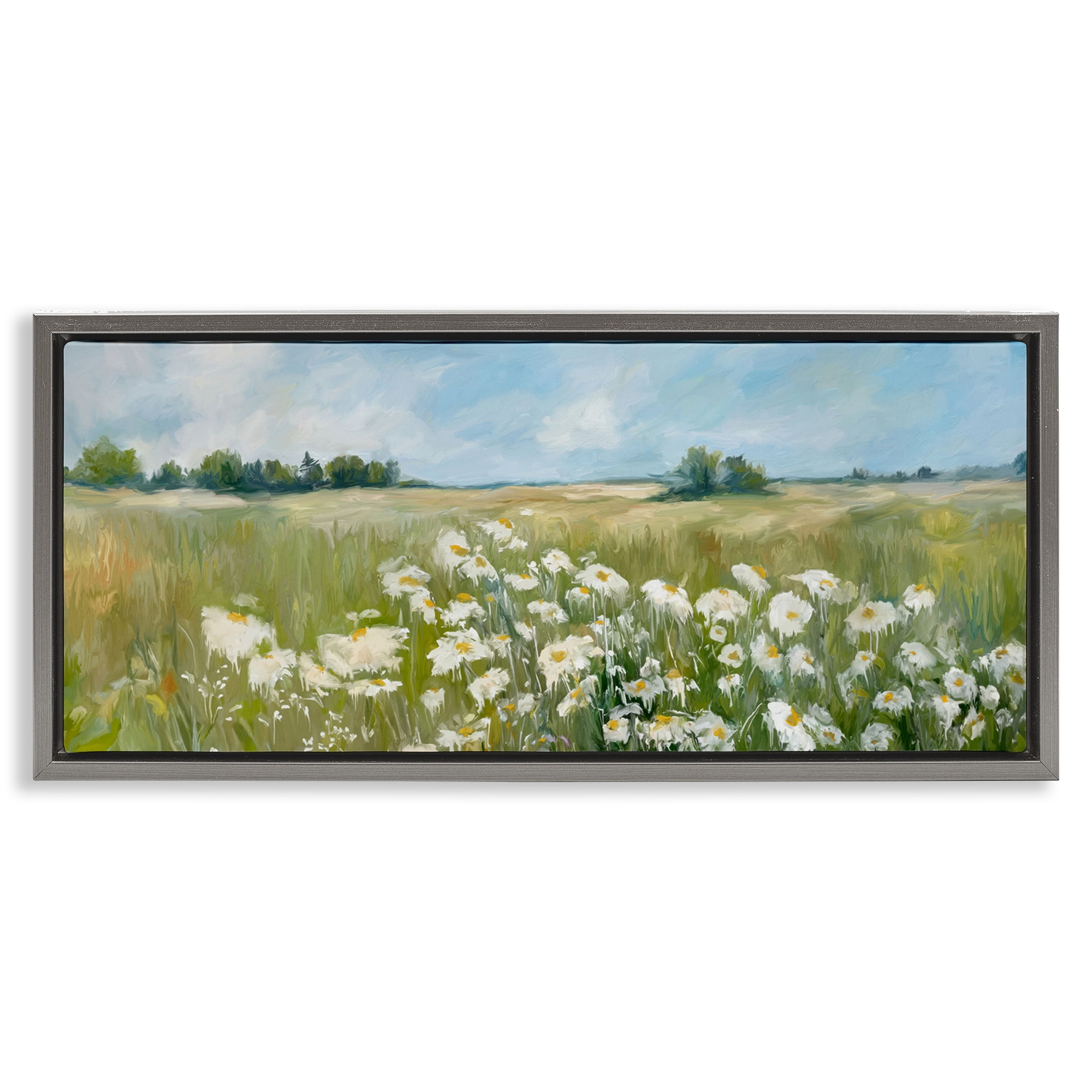 Stupell Industries Panoramic Sunlit Cliff Landscape Photography Gray ...