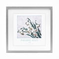 Stupell Industries Paradise Alley White Spring Blooms Gray Framed Print ...