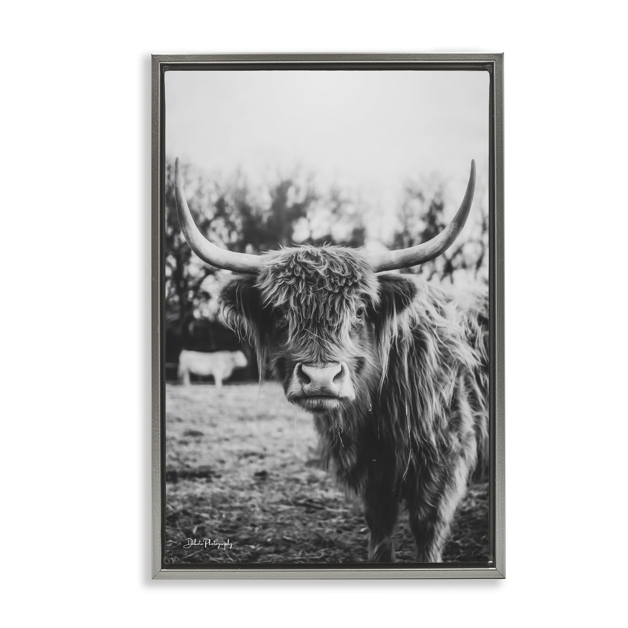 Stupell Industries Peering Highland Cattle Gray Framed Floater Canvas ...