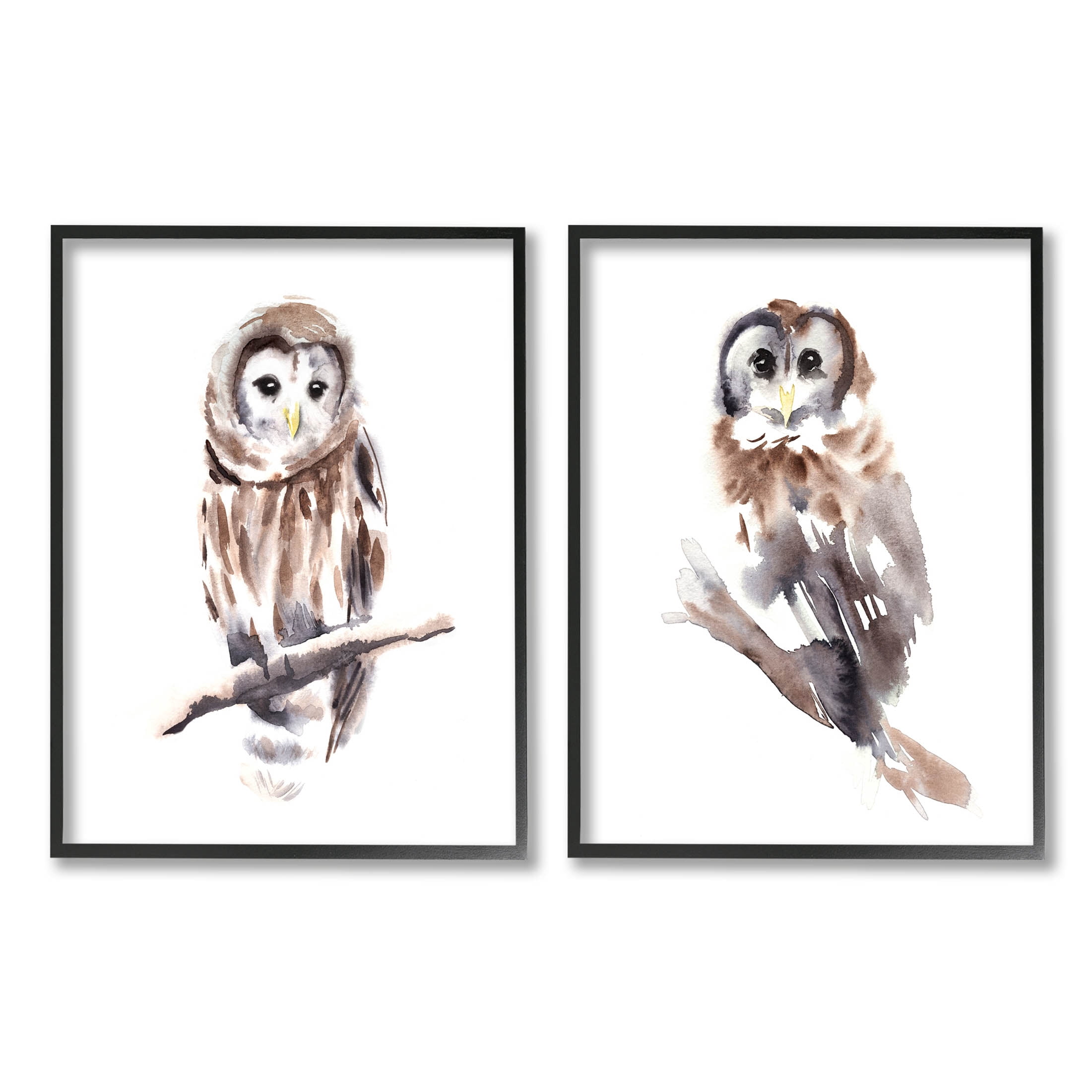 Stupell Industries Perched Owl Wildlife Portrait Painting Black Framed ...
