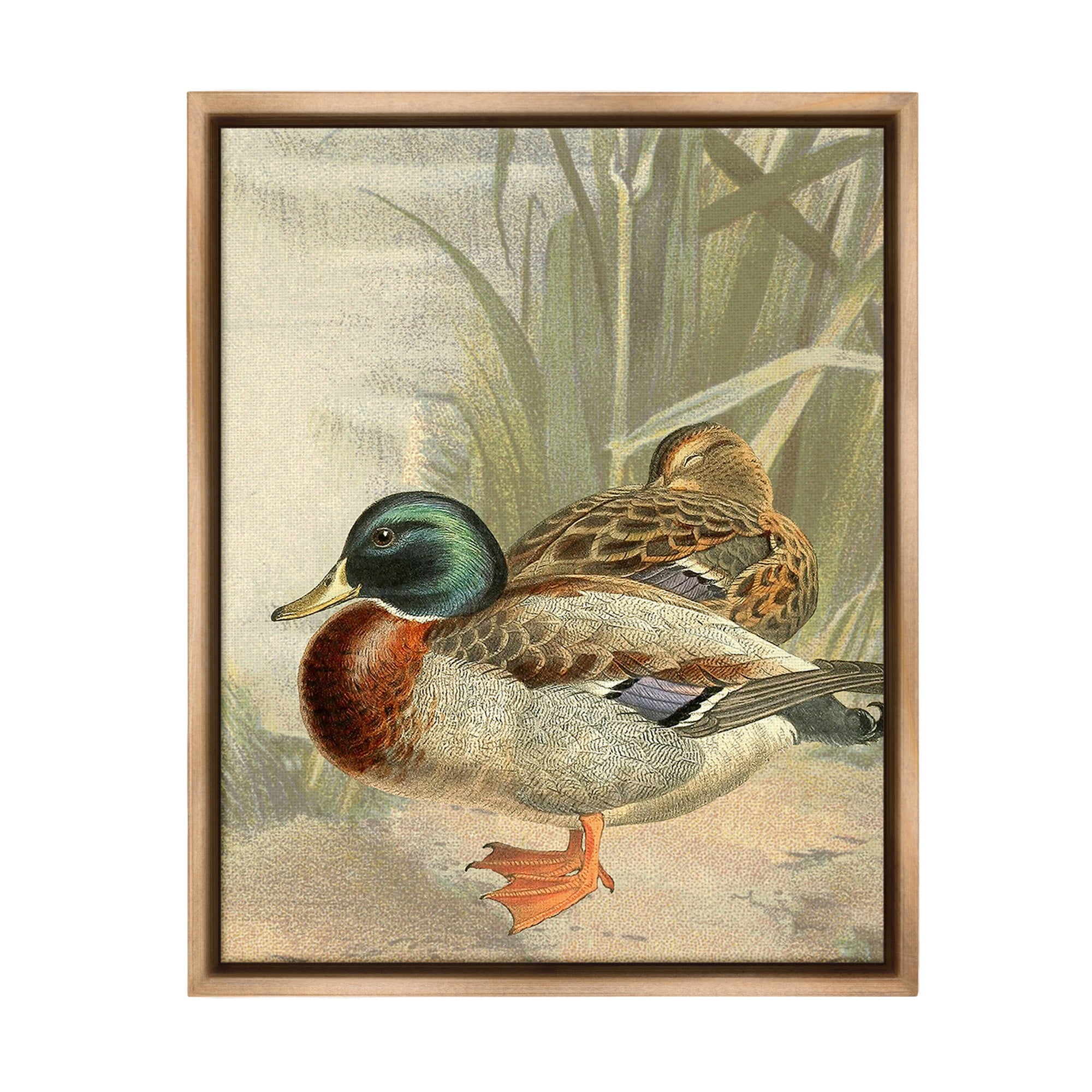 Stupell Industries Pond Ducks Relaxing Animals & Insects Painting Brown ...