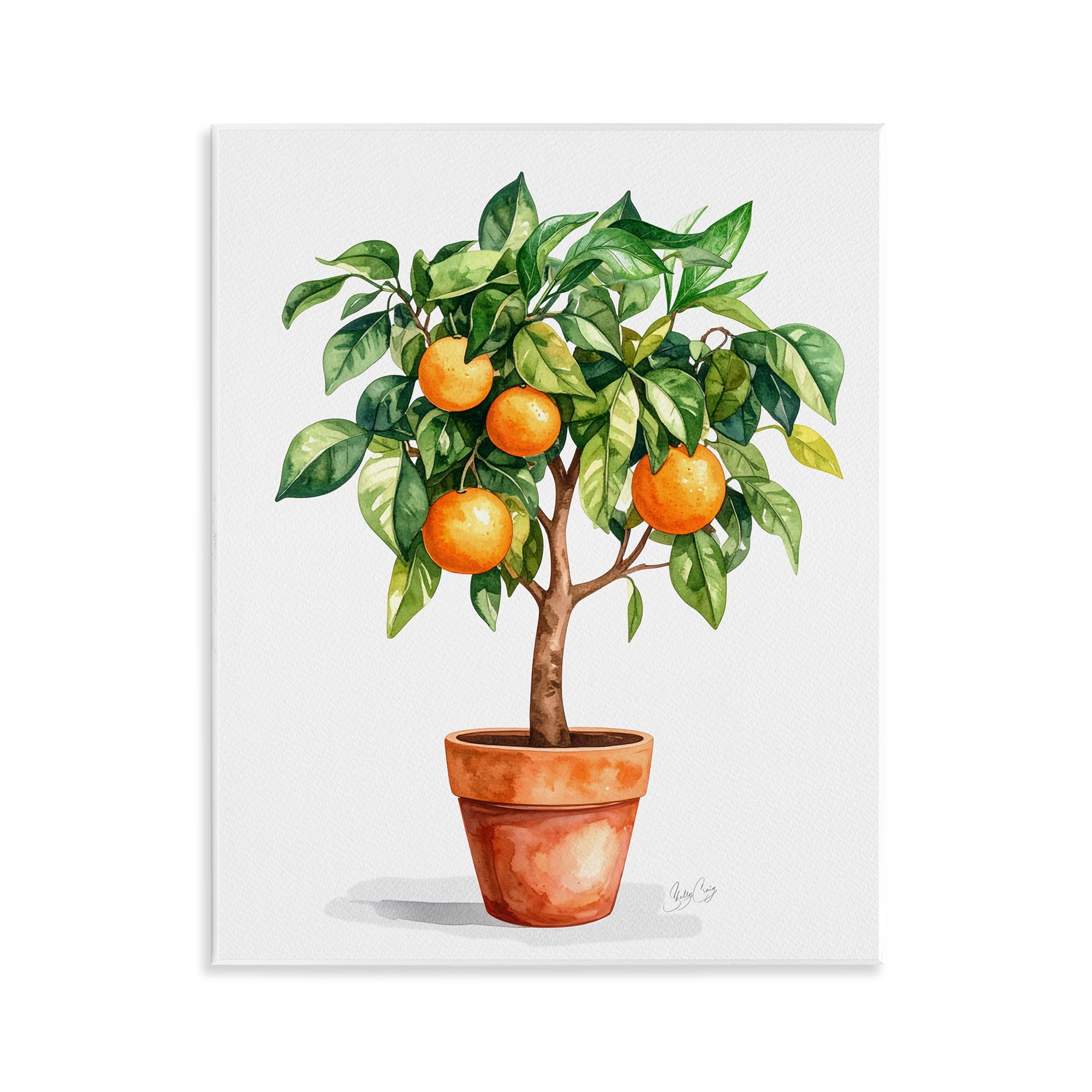 Stupell Industries Potted Orange Tree Wall Plaque Art, design by Shelly ...