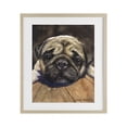 Stupell Industries Pug Soulful Portrait Birch Framed Print Under Glass ...