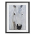 Stupell Industries Pure White Horse Portrait Black Framed Print Under ...