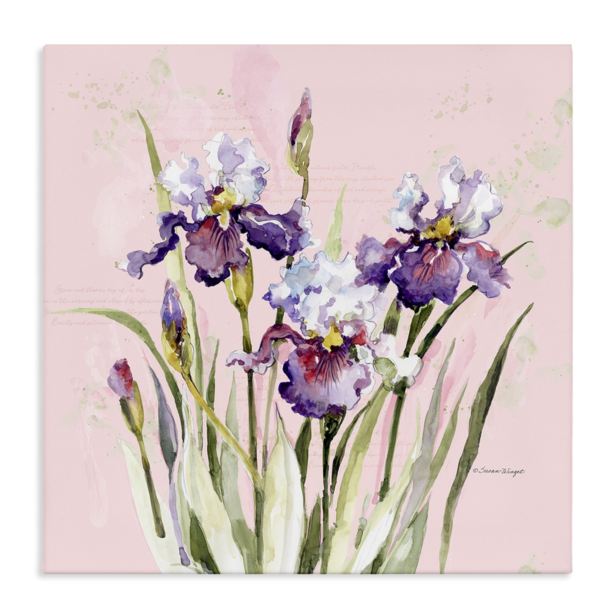 Stupell Industries Purple Irises on Pink Canvas Wall Art, design by ...