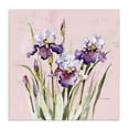 Stupell Industries Purple Irises on Pink Canvas Wall Art, design by ...