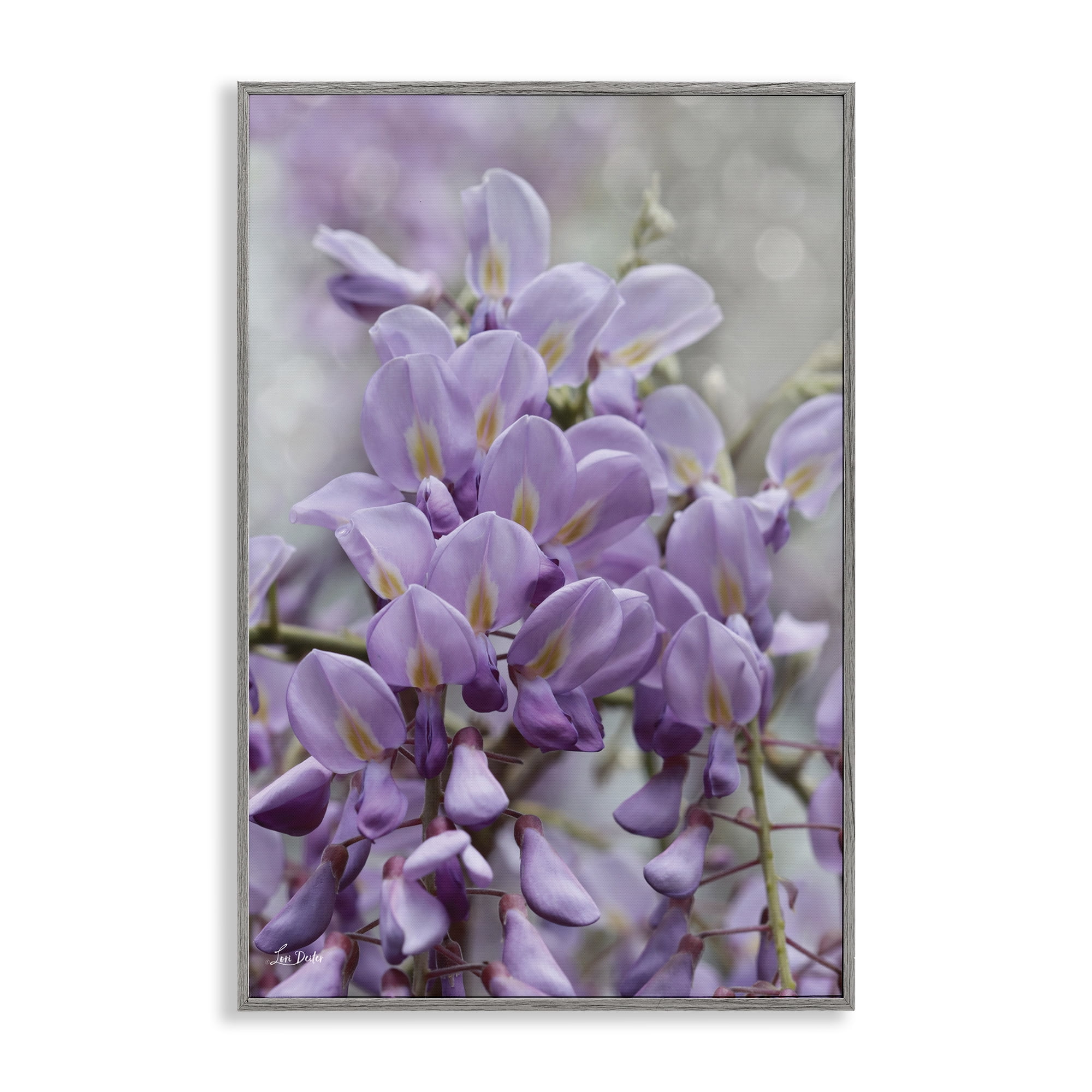 Stupell Industries Purple Orchid Petals Plants & Flowers Photography ...