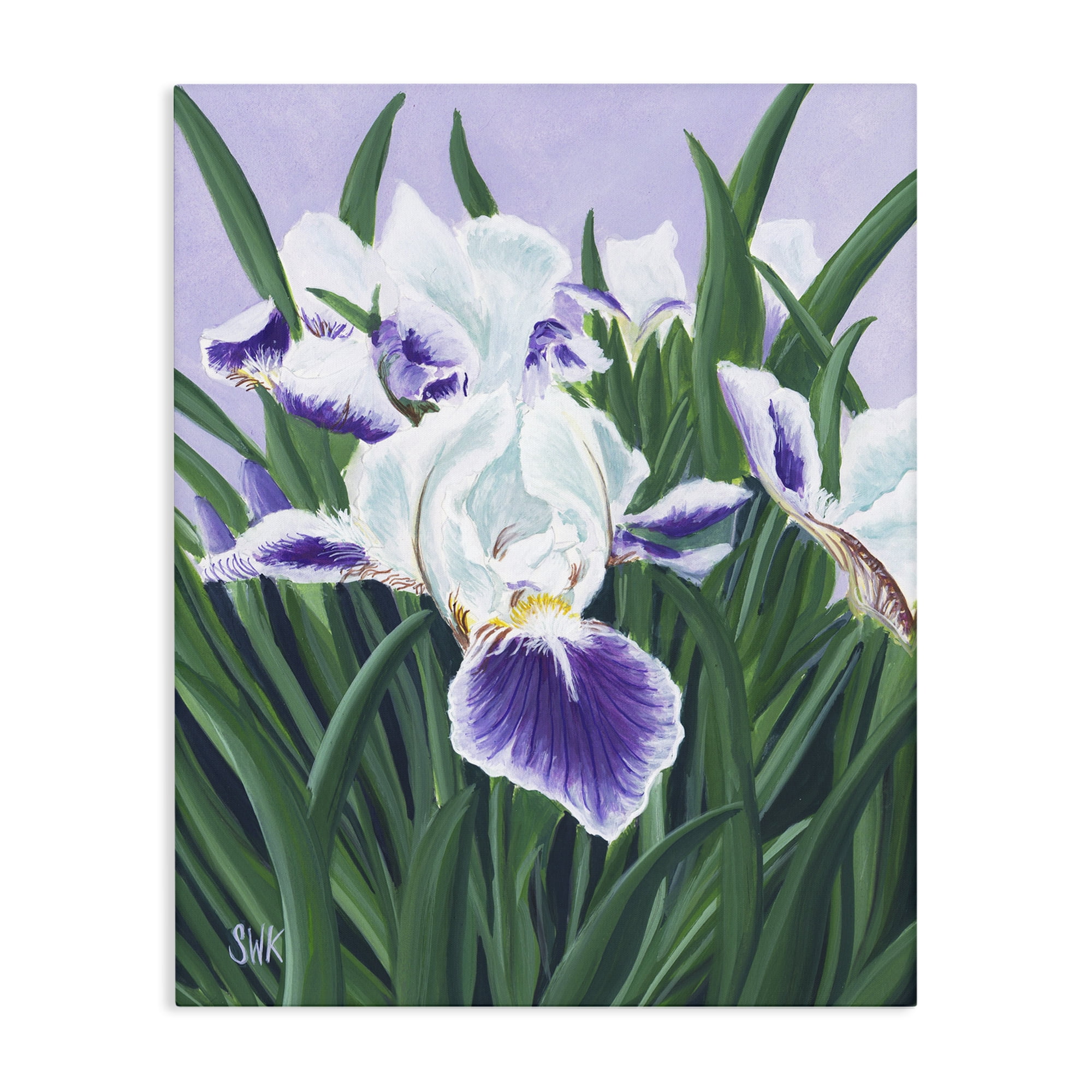 Stupell Industries Purple & White Irises Canvas Wall Art, design by ...