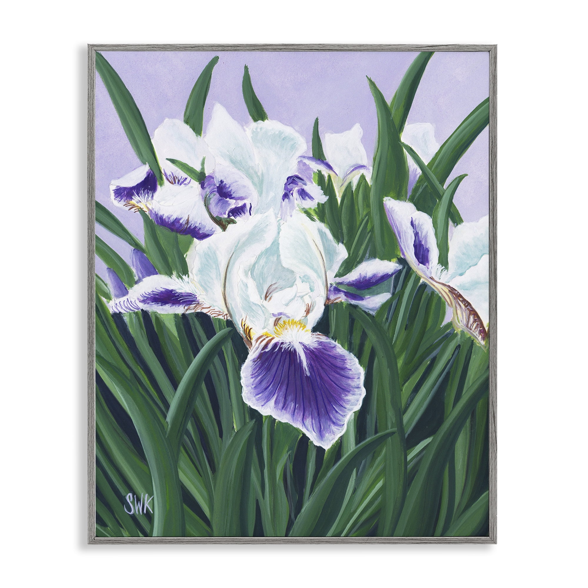 Stupell Industries Purple & White Irises Gray Framed Giclee Art, design ...