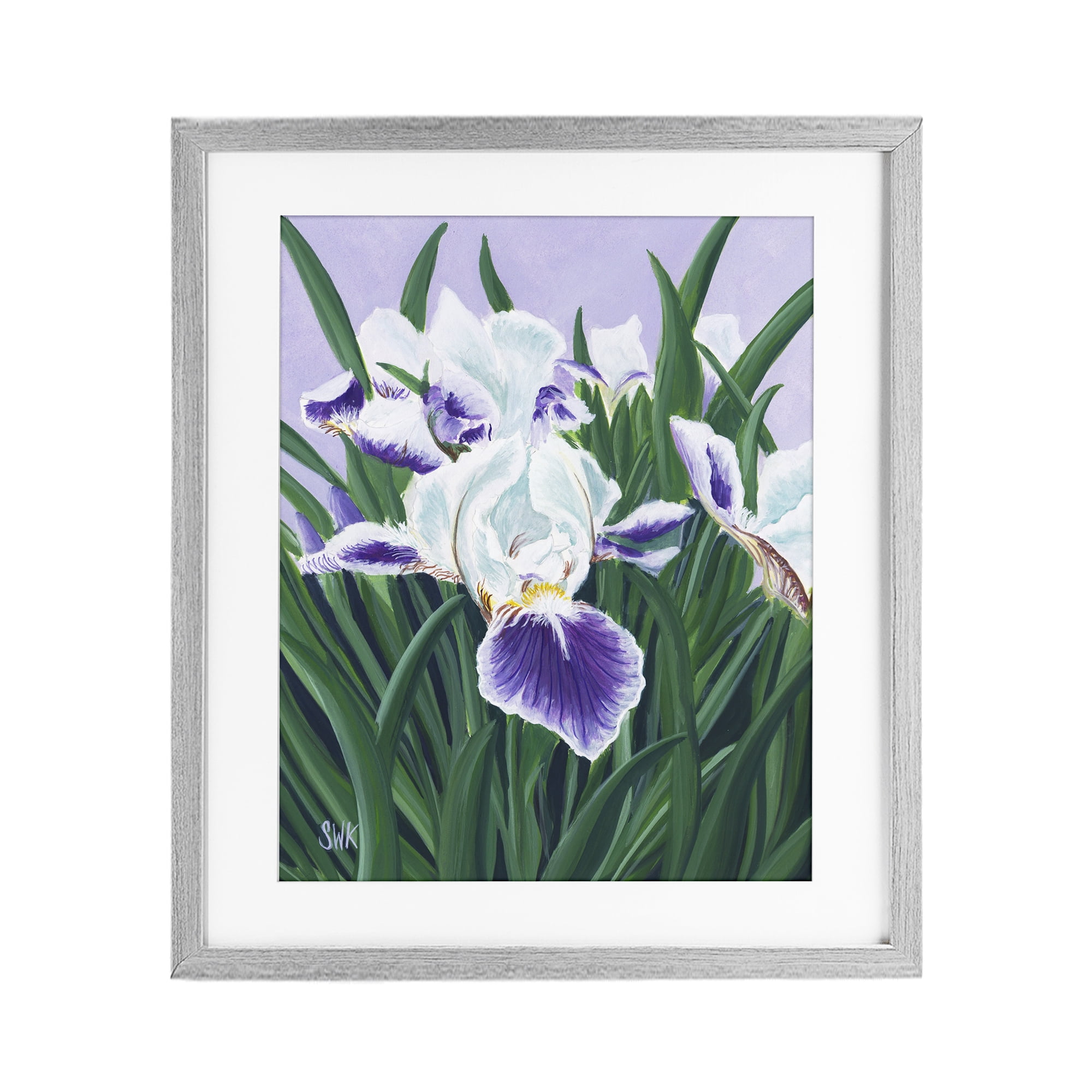 Stupell Industries Purple & White Irises Gray Framed Print Under Glass ...