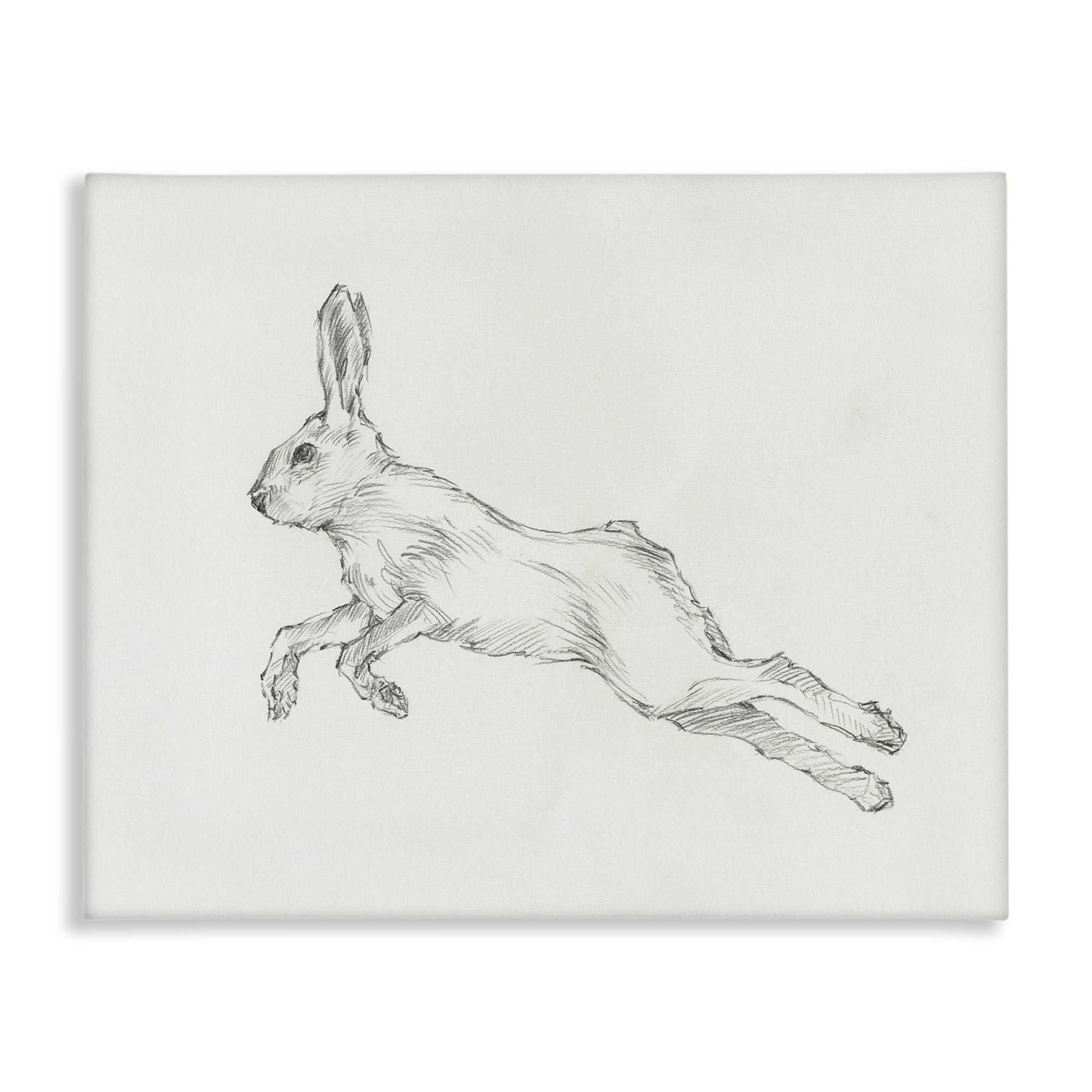 Stupell Rabbit Hopping Sketch Canvas Art Print - 20 x 16 - Walmart.com