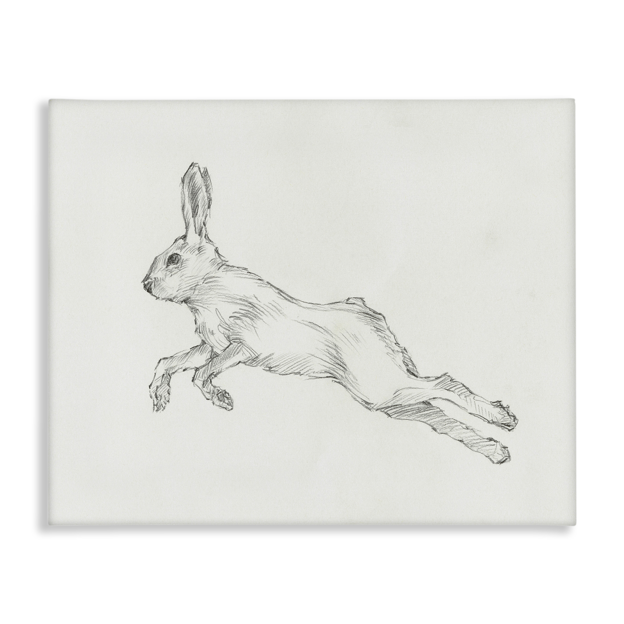 Stupell Industries Rabbit Hopping Sketch Animals & Insects Drawing ...