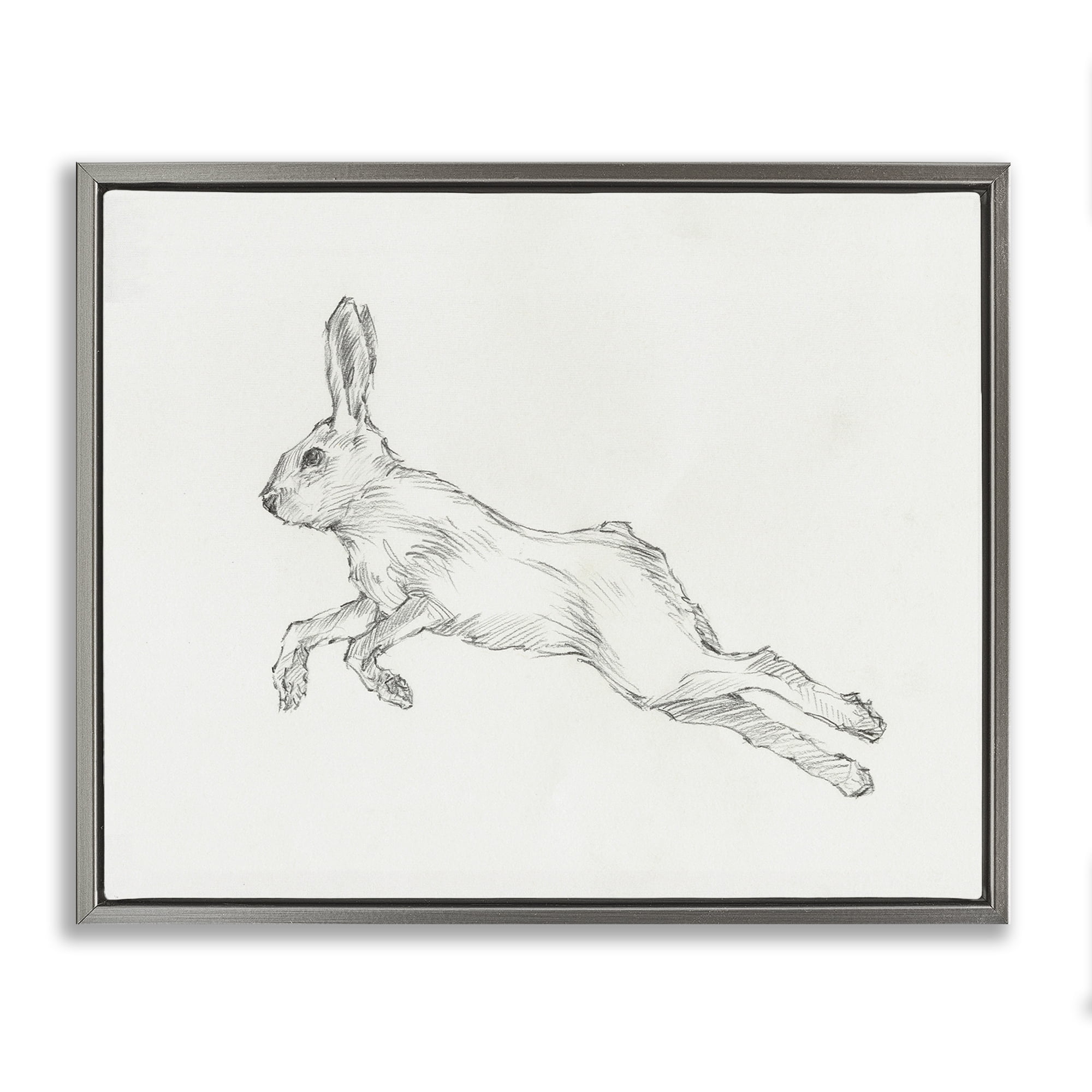 Stupell Industries Rabbit Hopping Sketch Animals & Insects Drawing Gray ...