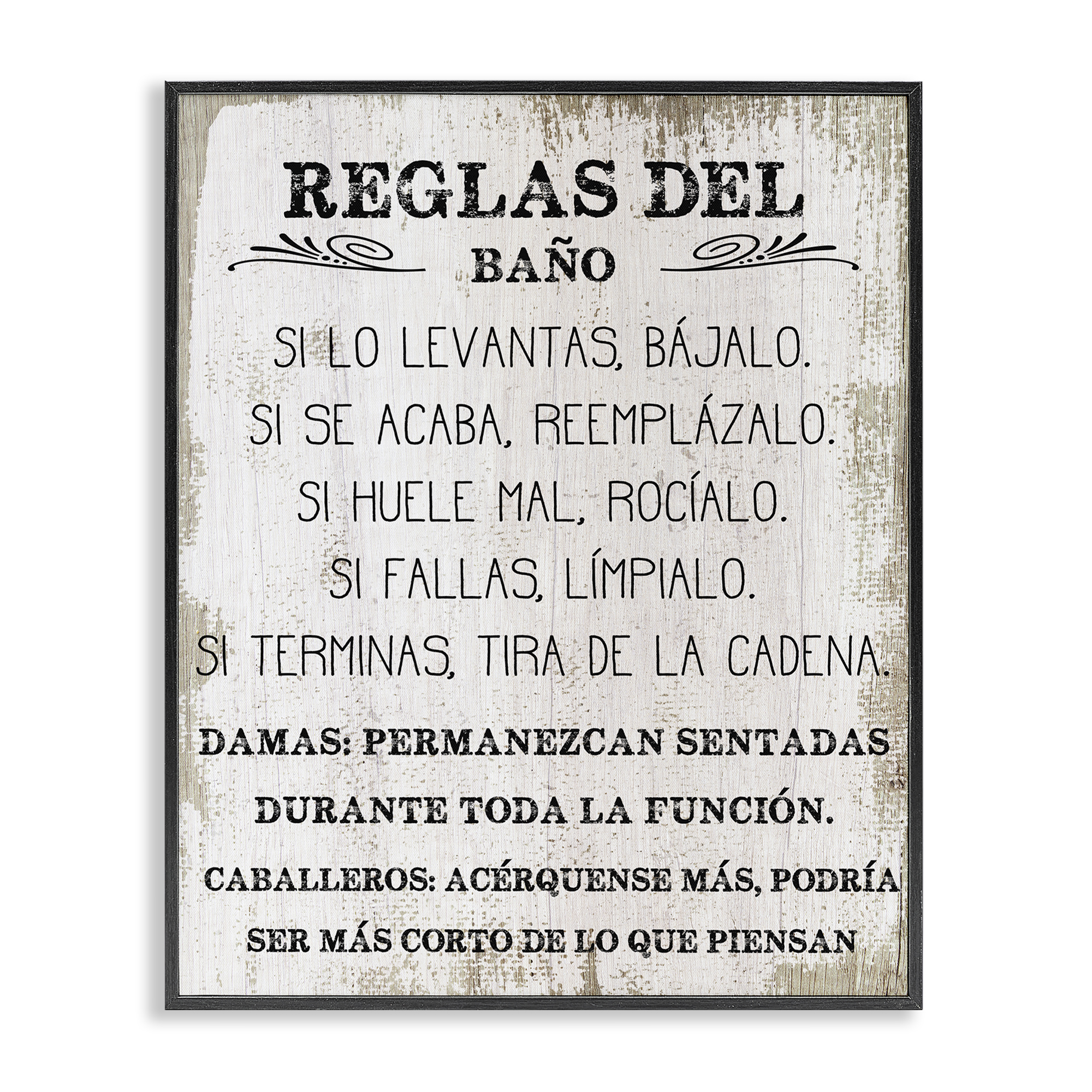 Stupell Industries Reglas Divertidas del Baño Bath & Laundry Painting ...