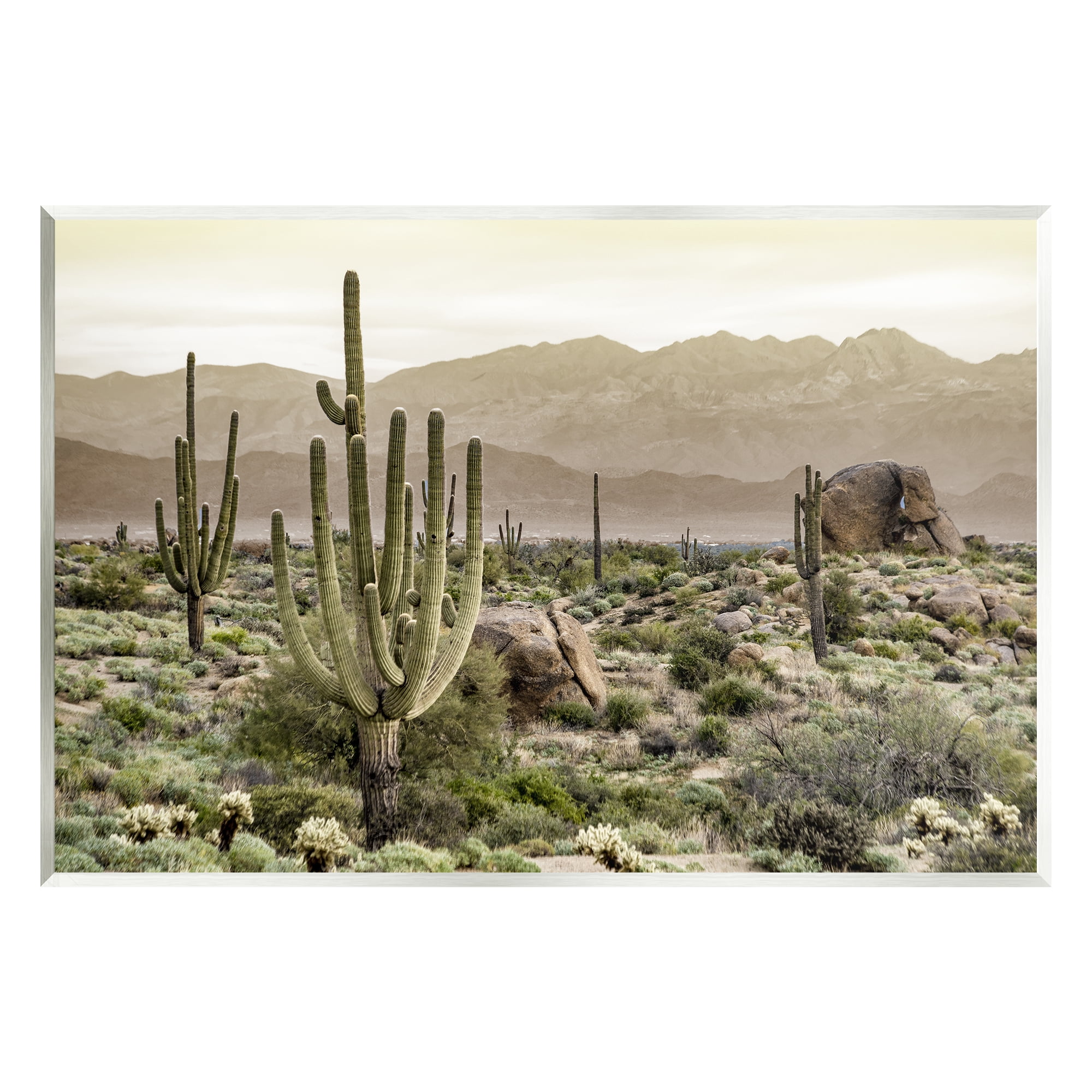 Stupell Industries Rocky Desert Landscape Wall Art - 15 x 10 - Walmart.com