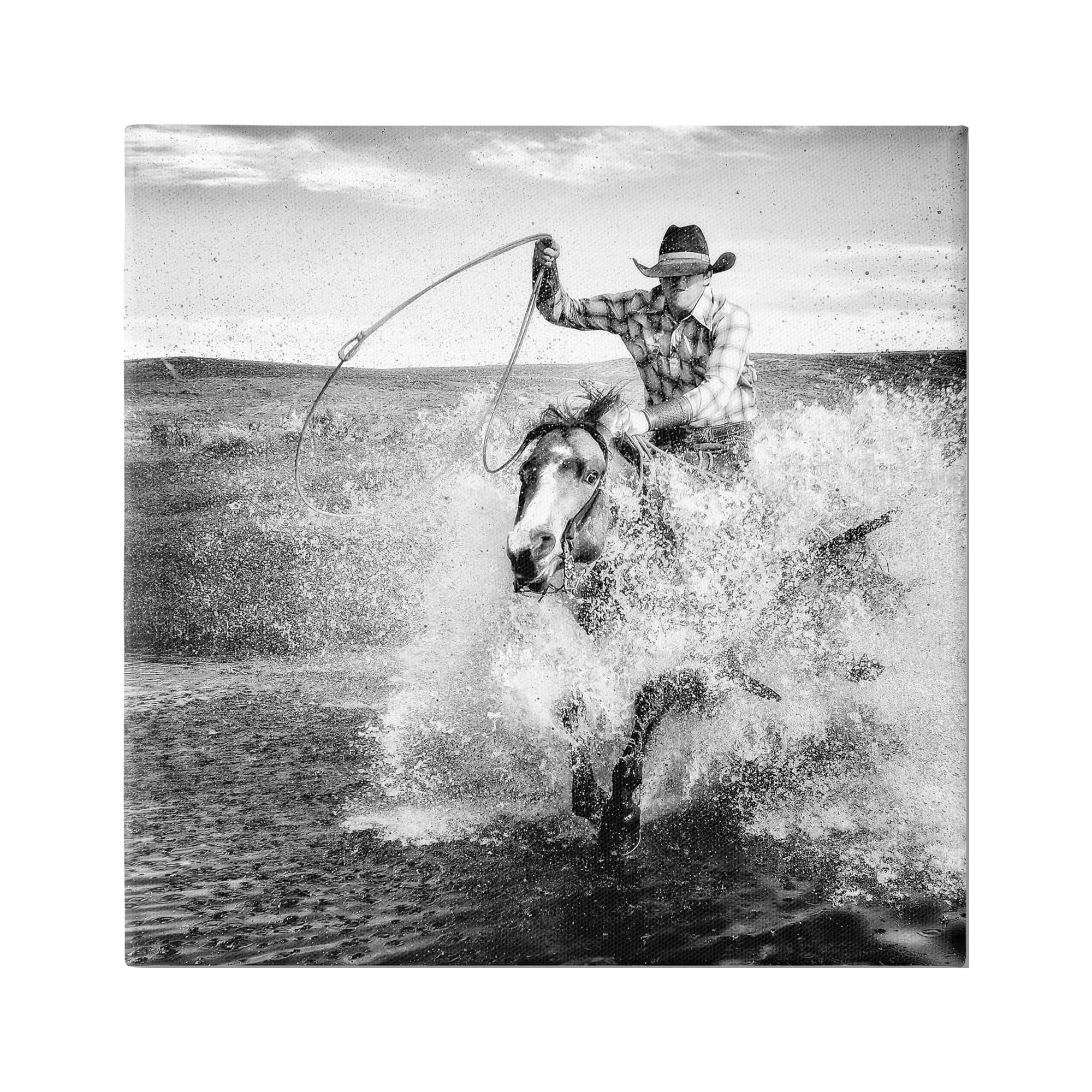 Stupell Industries Ropin' Time Cowboy Animals & Insects Photography ...