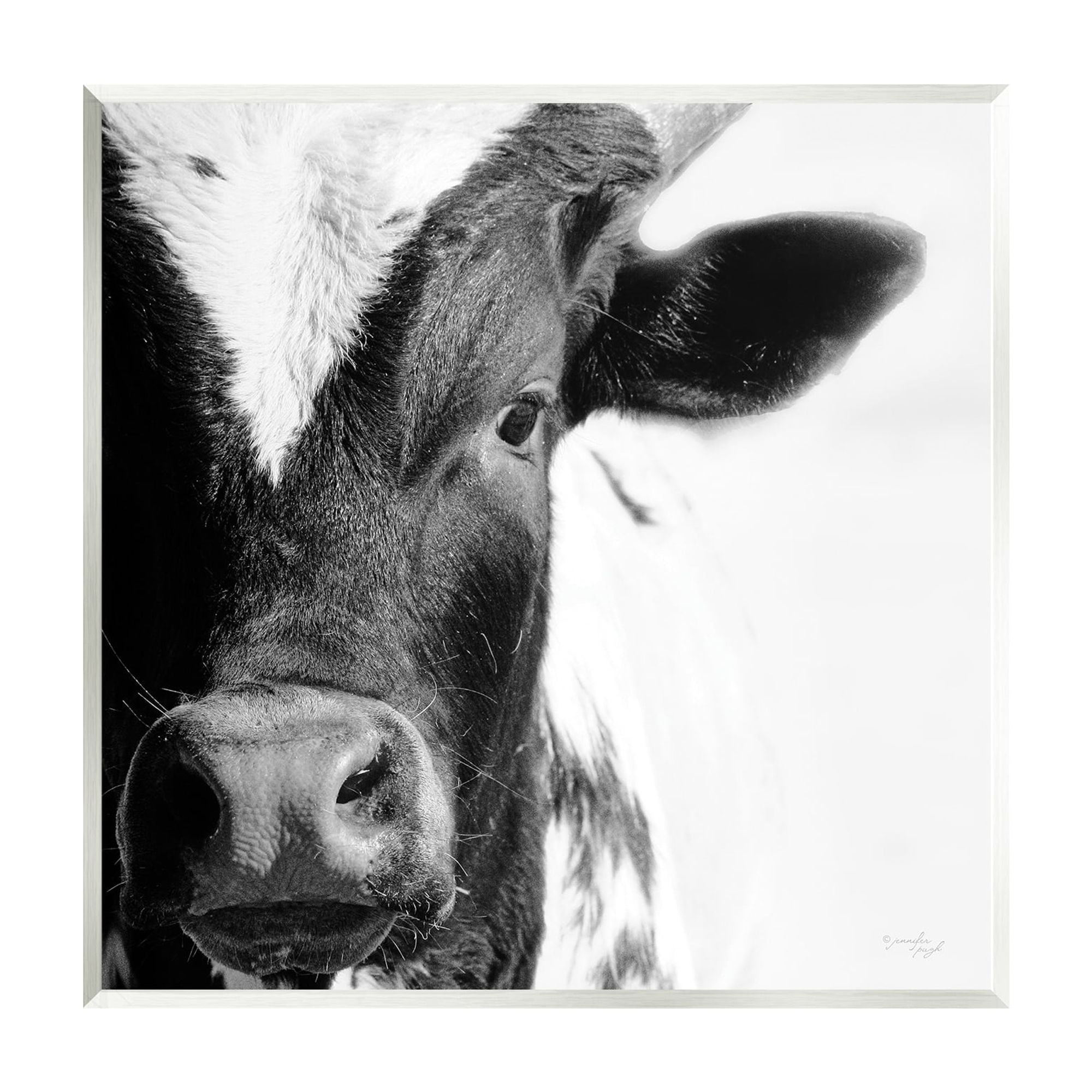 Stupell Industries Rural Farm Cow Stunning Up Close Photography ...