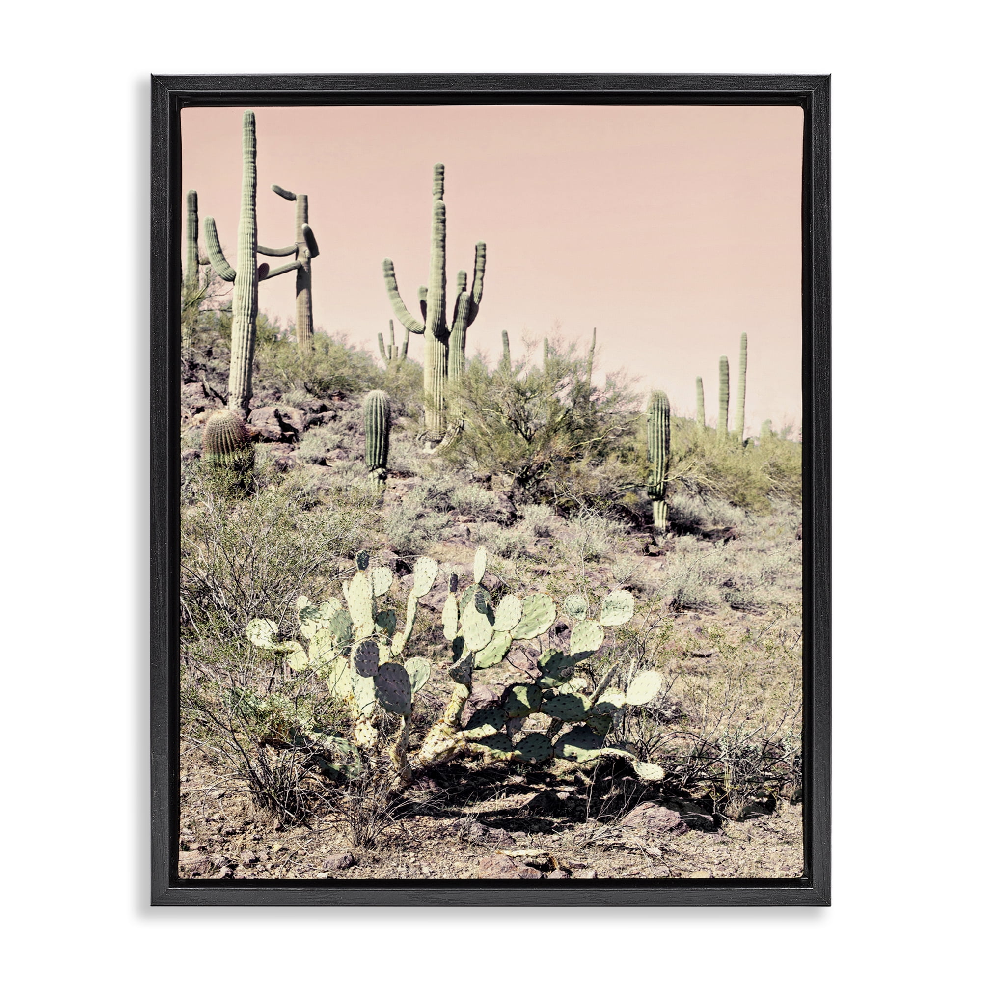 Stupell Industries Rustic Desert Scene Landscape & Nature Photography ...