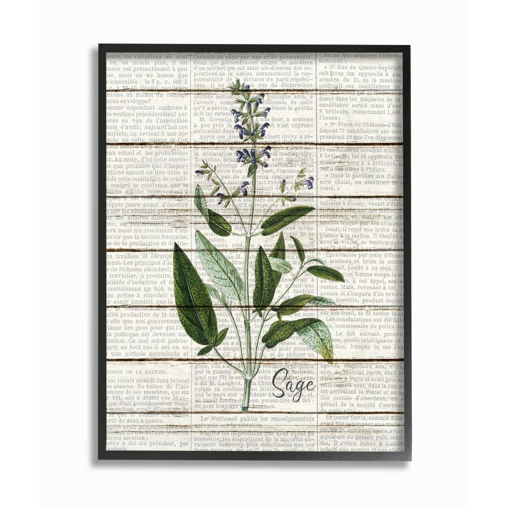 Stupell Industries Vintage Herb Kitchen Collage Art - 11x14 Inch Frame ...