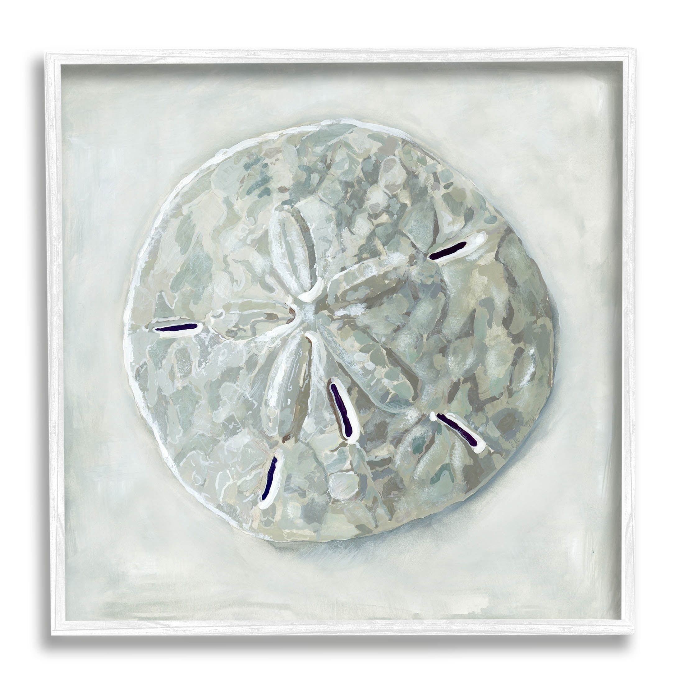 Stupell Industries Sand Dollar Seashell Painting White Framed Art Print ...