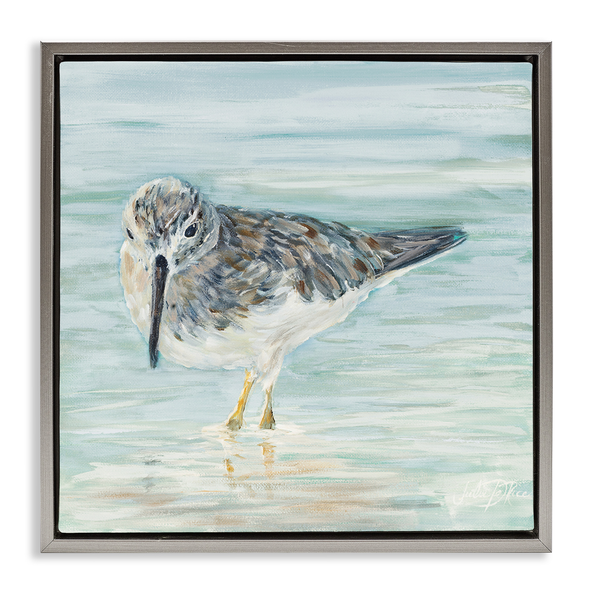 Stupell Industries Sandpiper in Shallow Beach Waters Animals & Insects ...