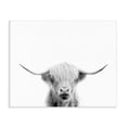 Stupell Industries Scottish Cow Portrait Canvas Wall Art, design by ...