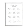 Stupell Industries Seashell Guide for Common Shells Minimal Nautical ...