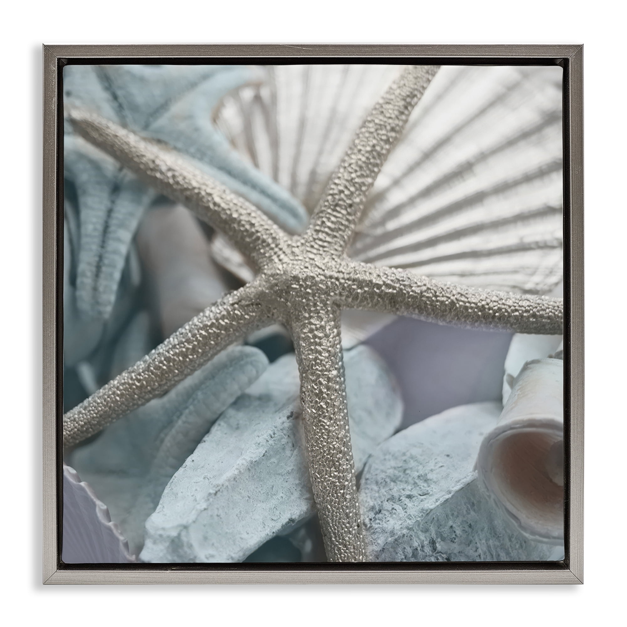 Stupell Industries Seashells & Starfish Nautical & Beach Photography Gray Floater Framed Canvas ...