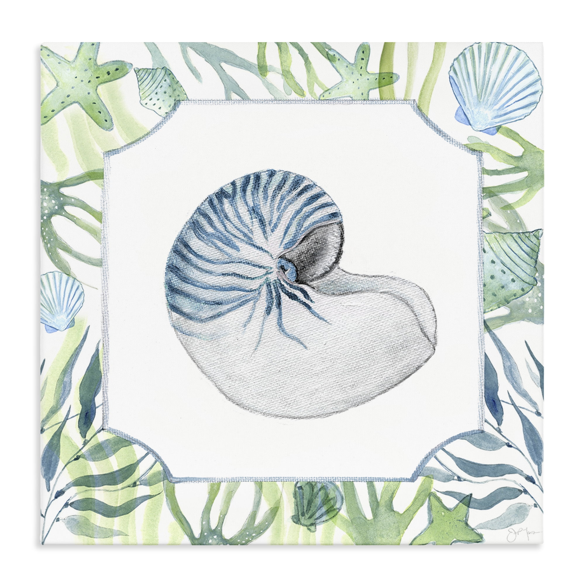 Stupell Industries Seaweed & Seashells Aquatic Canvas Wall Art, design ...