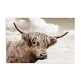 Stupell Industries Shaggy Highland Cow & Clouds Canvas Wall Art, design ...