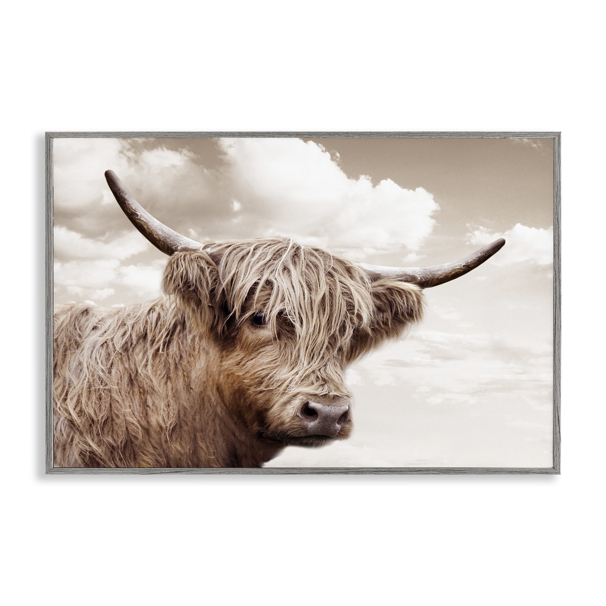 Stupell Industries Shaggy Highland Cow & Clouds Gray Framed Giclee Art ...