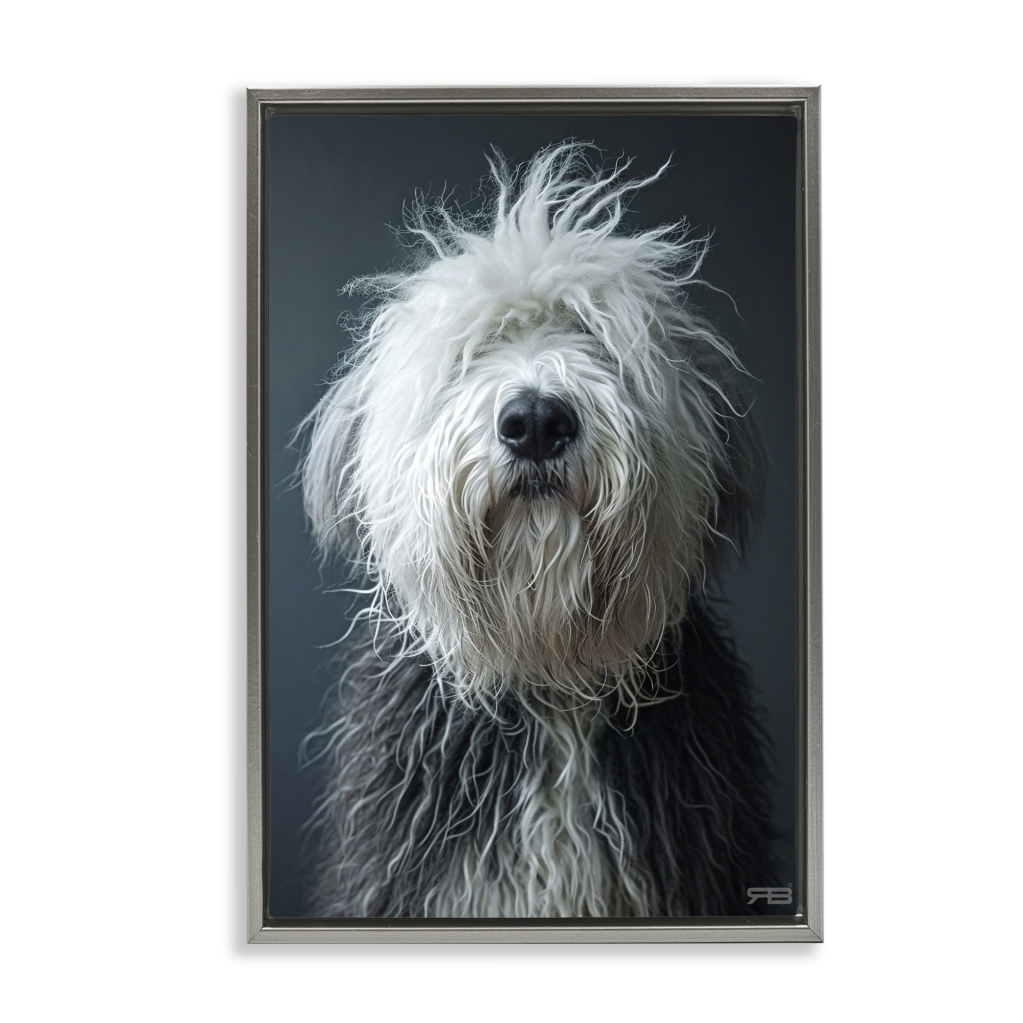 Stupell Industries Shaggy Pup Portrait Animals & Insects Painting Gray ...
