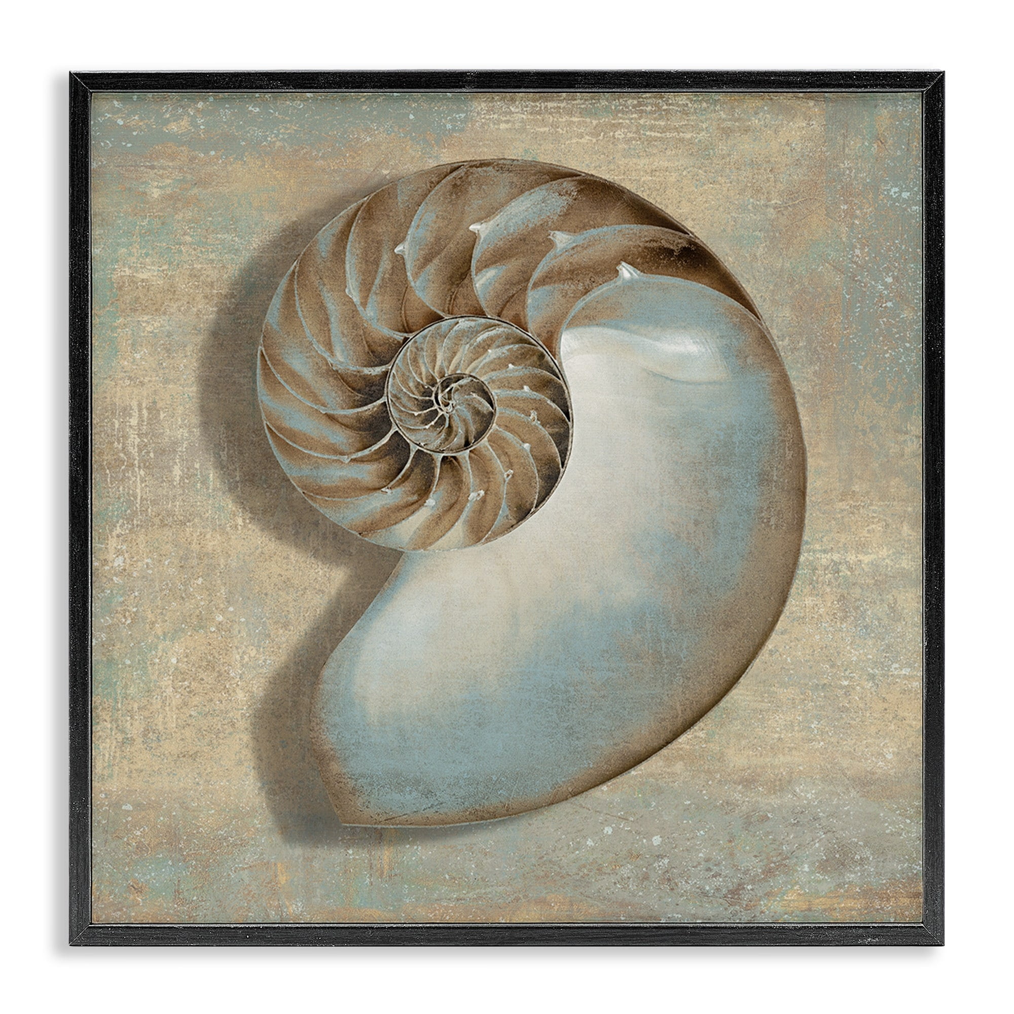 Stupell Industries Shell Beach Objects Design Framed Wall Art by ...