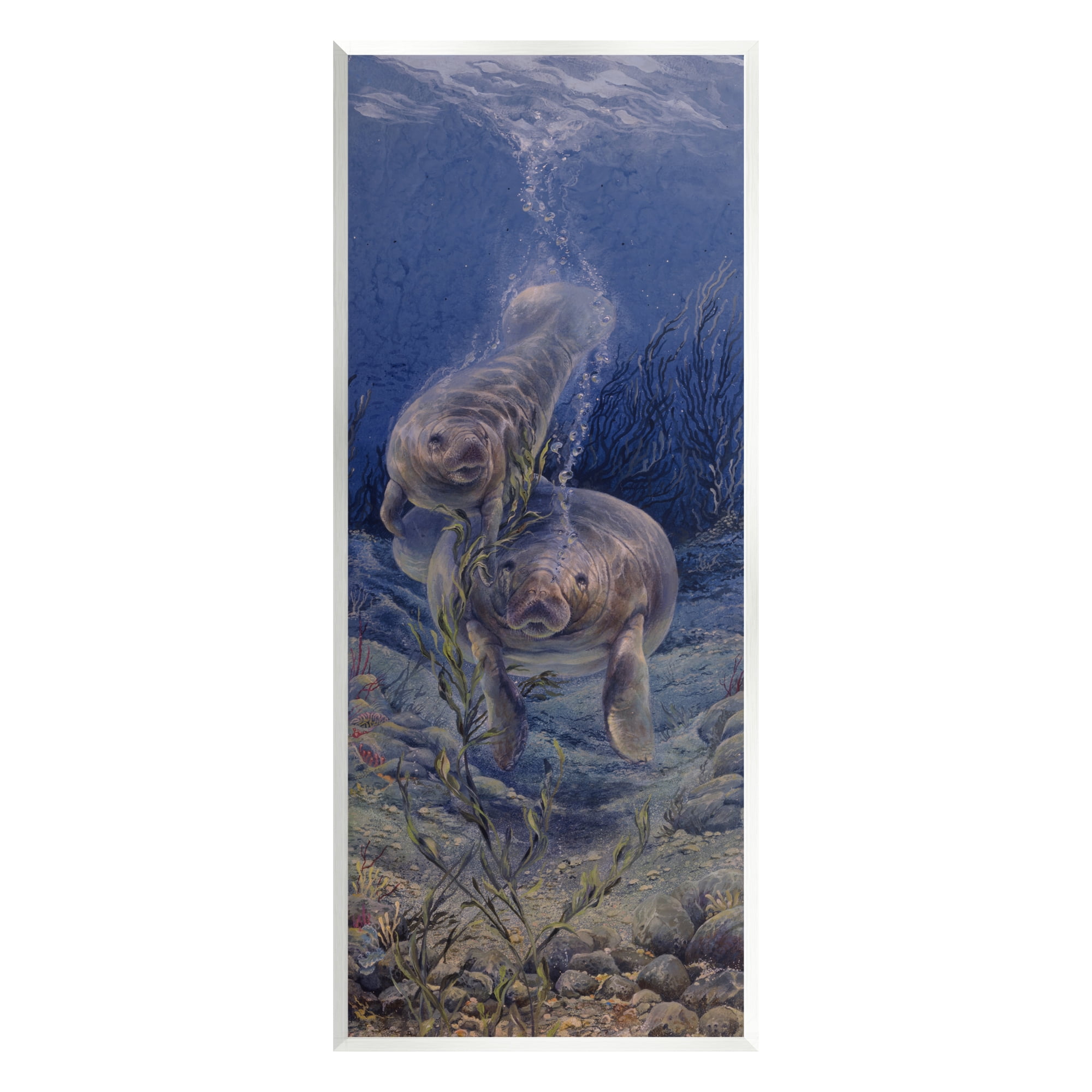 Stupell Industries Manatee Coastal Painting Wall Art Print Aquatic Design - Walmart.com