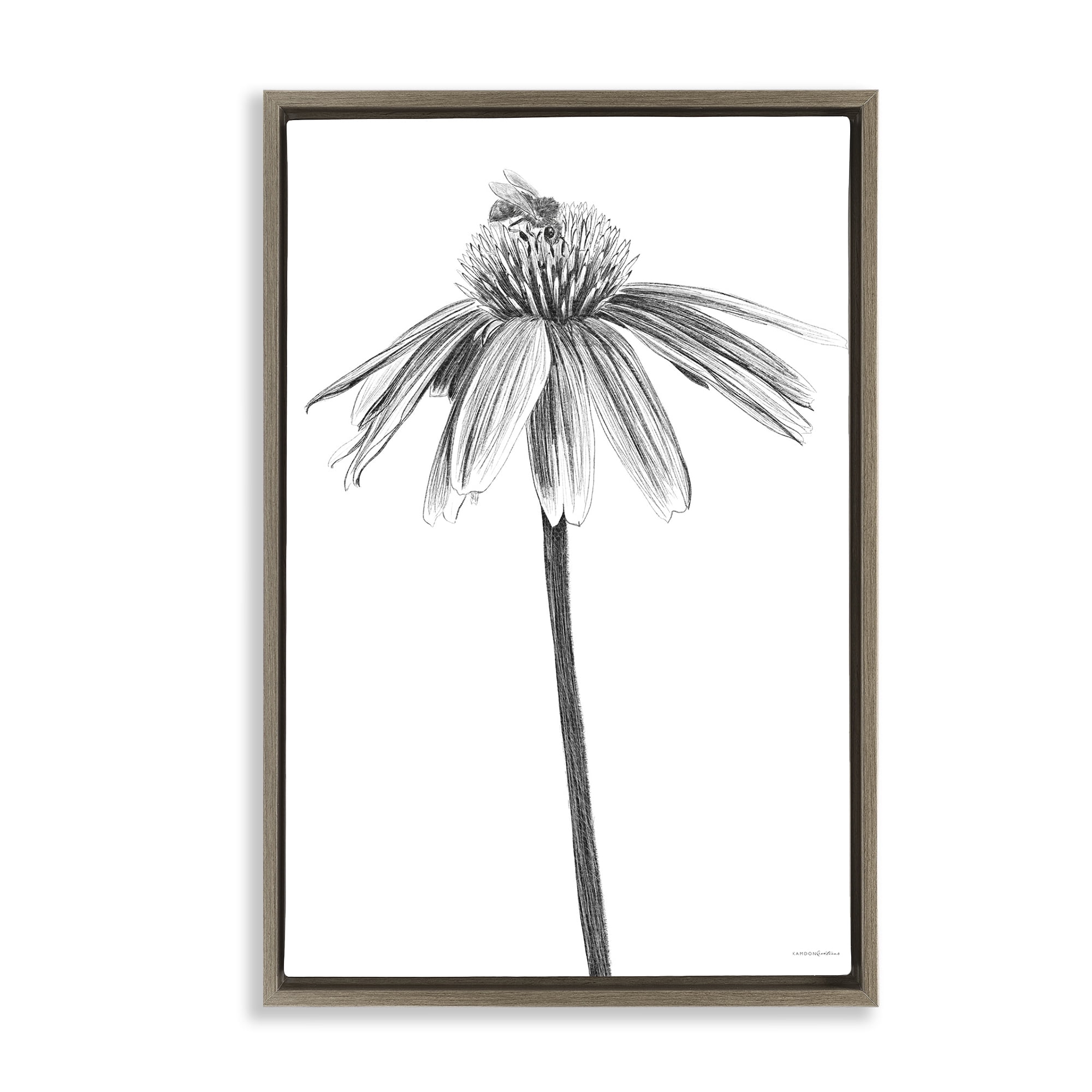 Stupell Industries Simple Daisy Sprig Botanical & Floral Drawing Brown ...