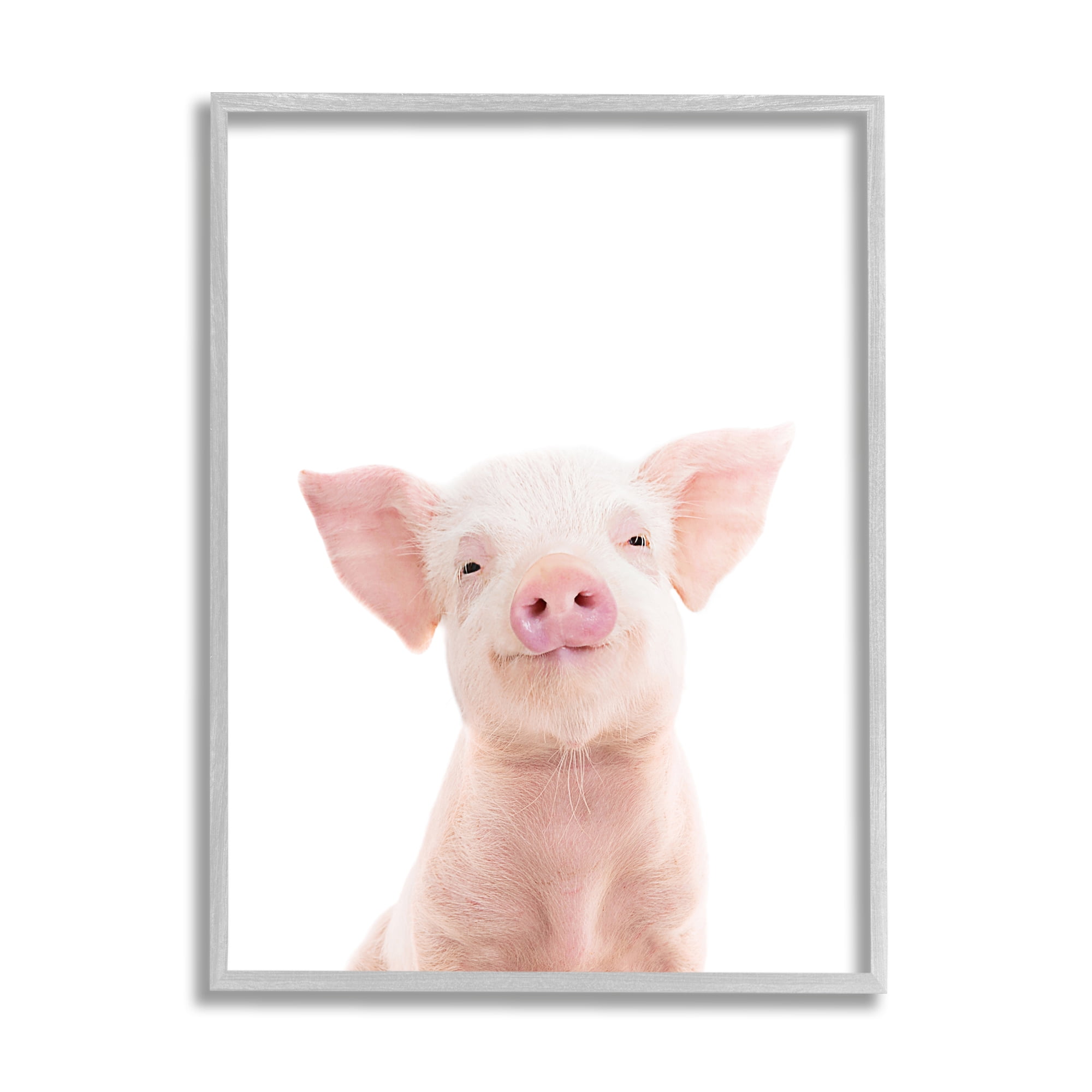 Stupell Industries Smiling Pink Pig Animals & Insects Painting Gray ...