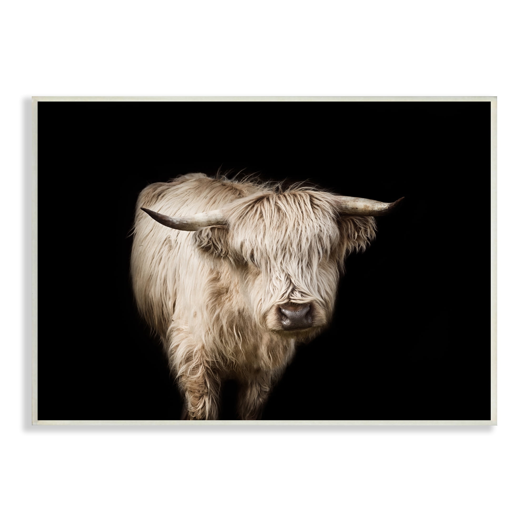 Stupell Industries Solemn Cattle Portrait Modern Farm Animal over Black ...