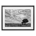 Stupell Industries Solitary Tree Beneath Clouds Black Framed Print ...
